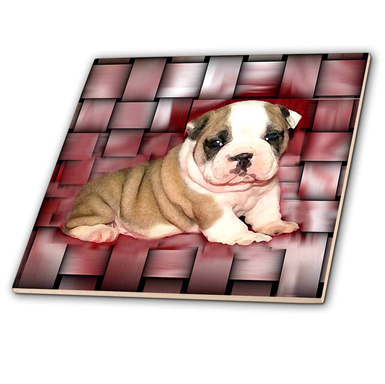 3dRose, British Bulldog Puppy, 6 Inch Ceramic Tile - Walmart.com