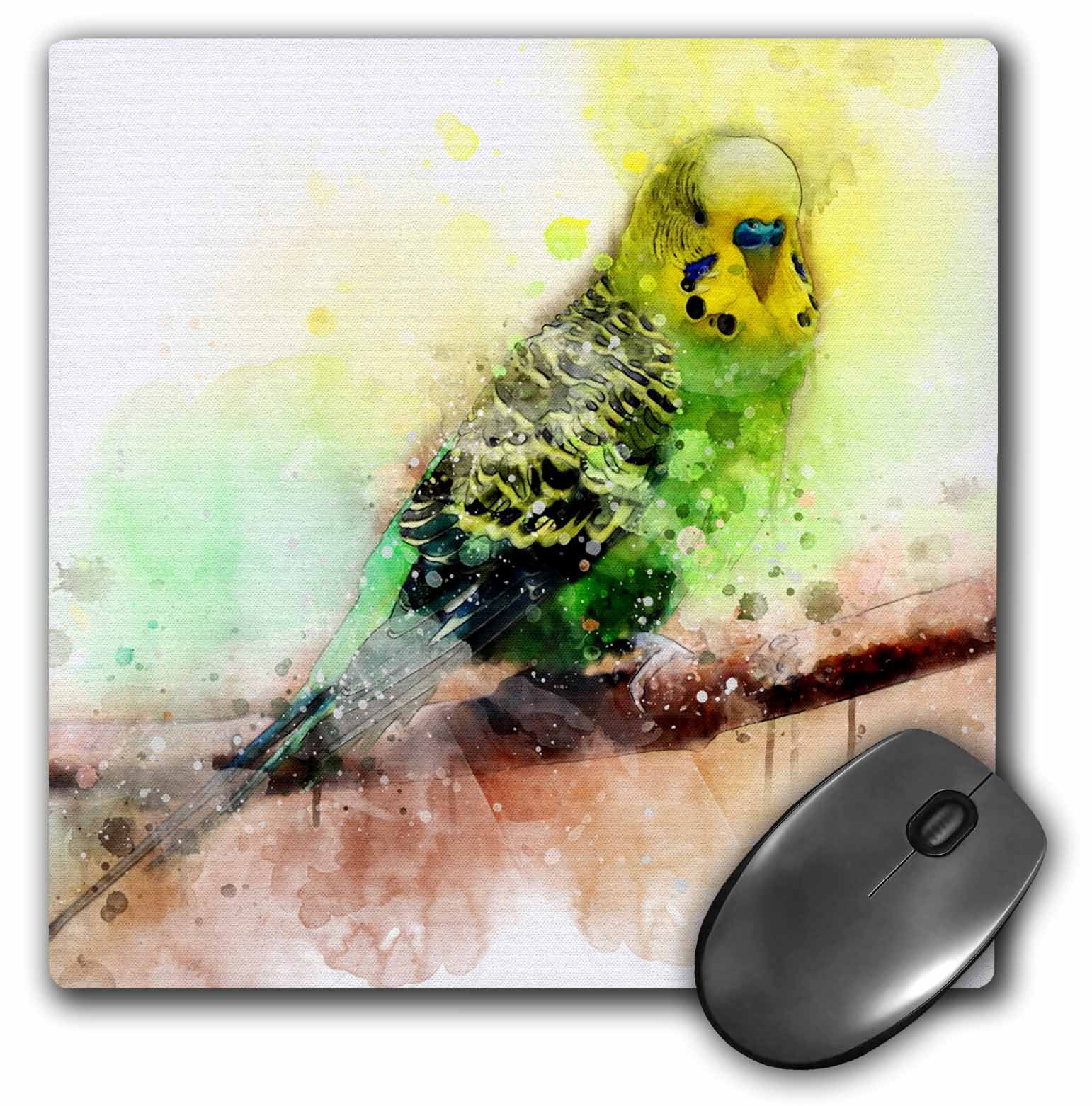 3dRose Budgie Budgerigar Parakeet with Watercolor Style - Mouse Pad, 8 ...