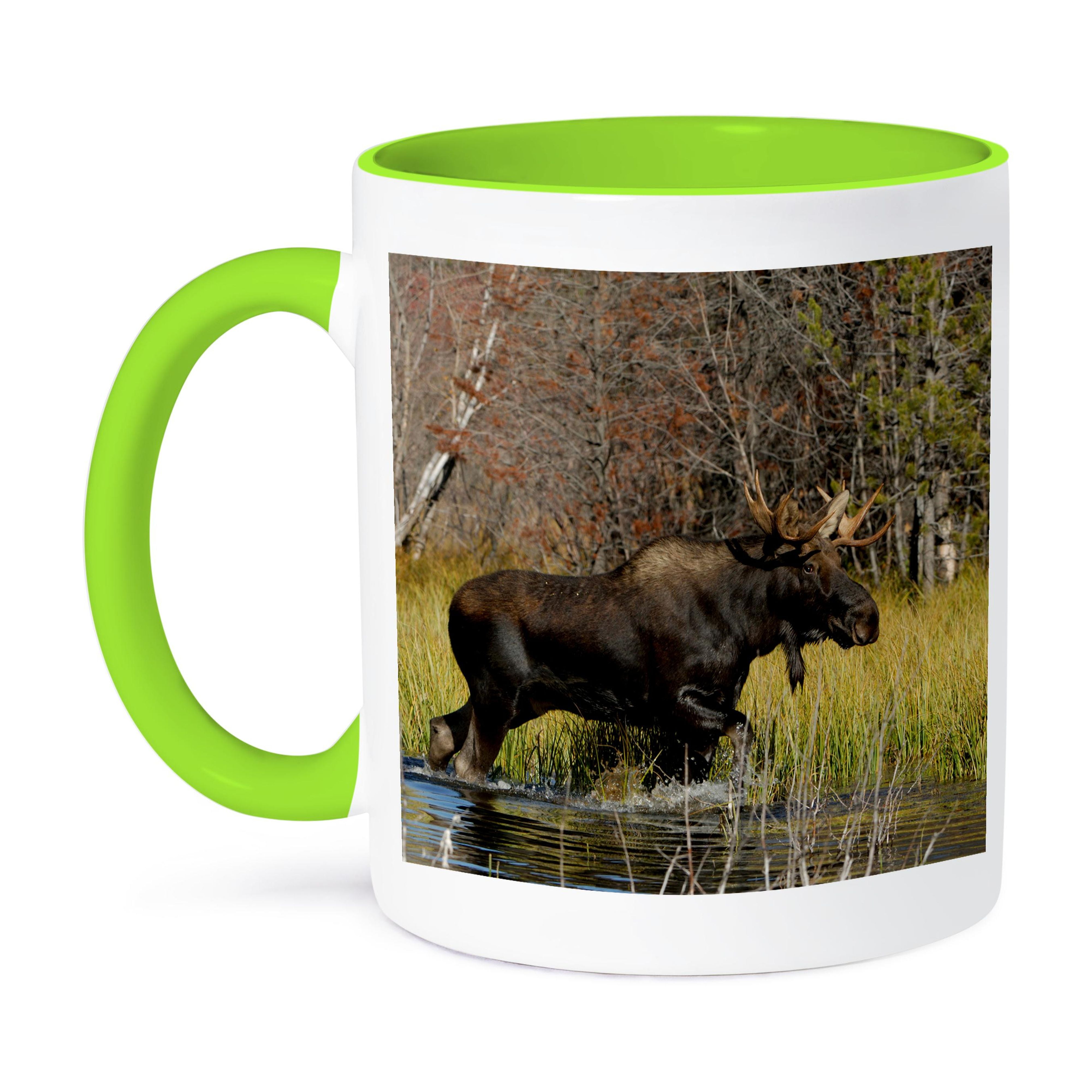 3dRose, Bull moose wildlife, Grand Teton NP, Wyoming - US51 RNU0047 ...