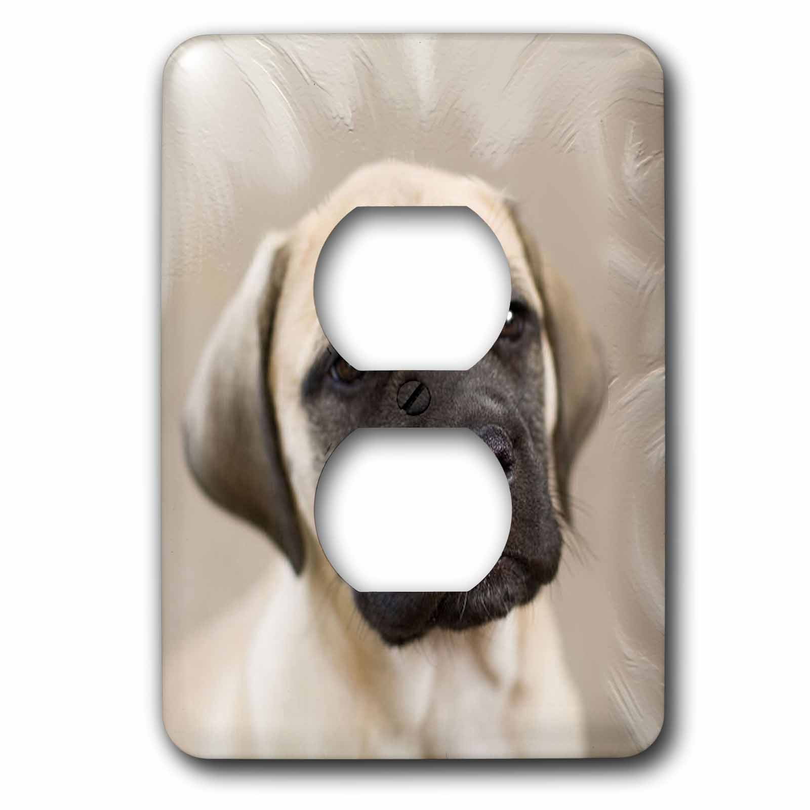 3dRose, Bullmastiff Puppy, 2 plug outlet cover - Walmart.com