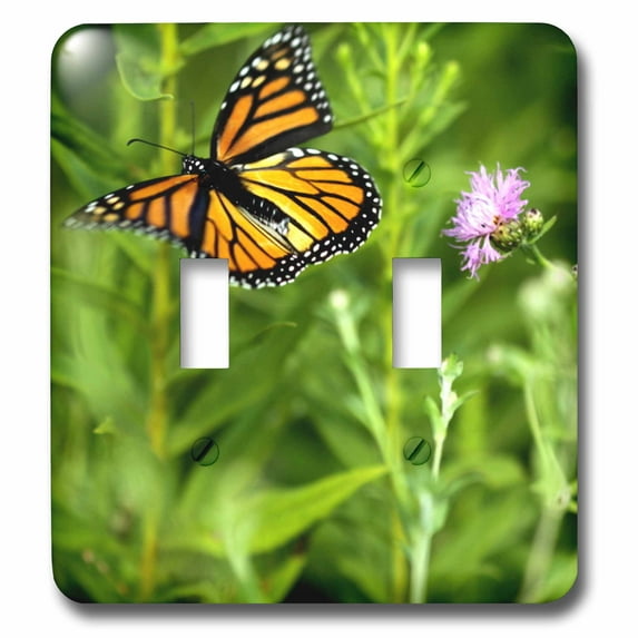 3dRose, Butterfly Monarch Flowers Orange Purple Green Flight, double ...