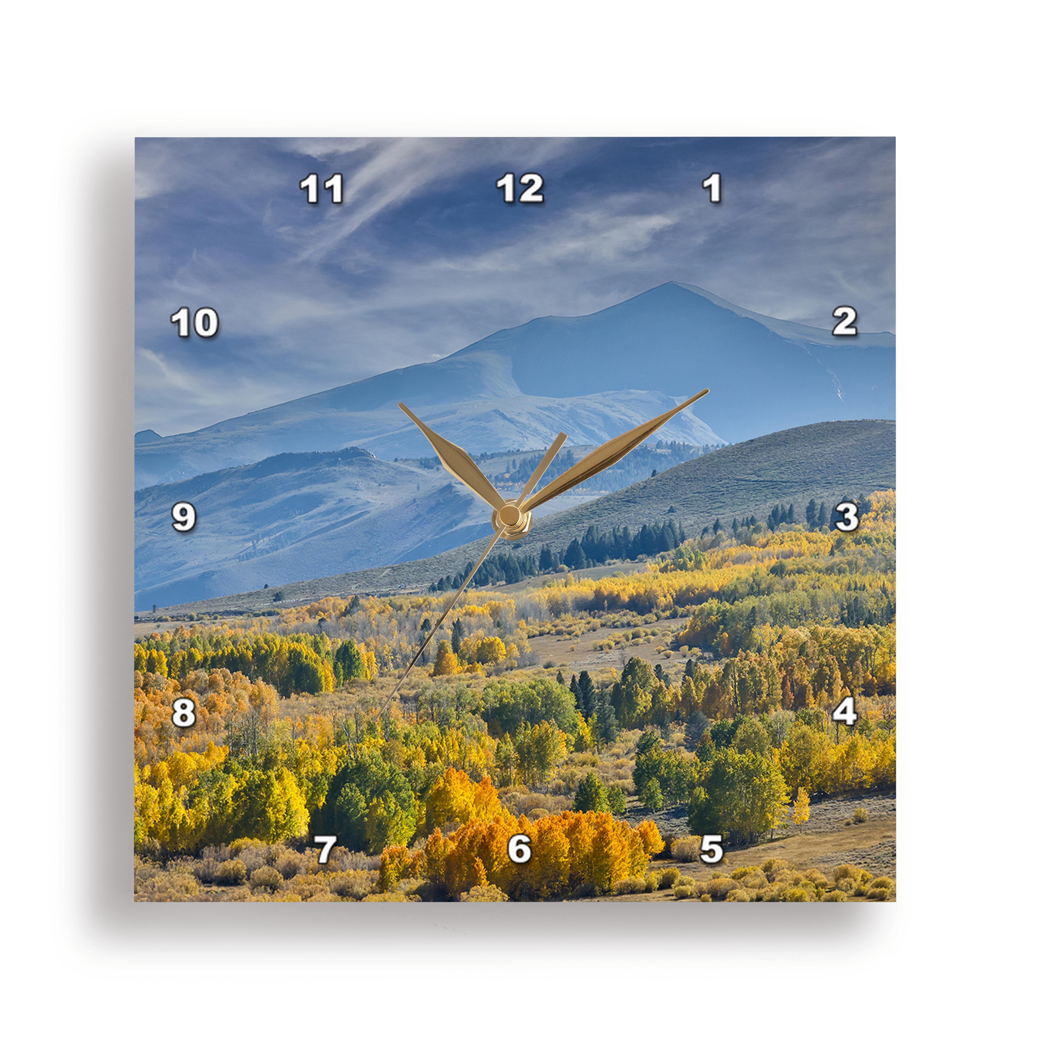 3dRose, California, Conway Pass fall color., 13x13 Wall Clock - Walmart.com