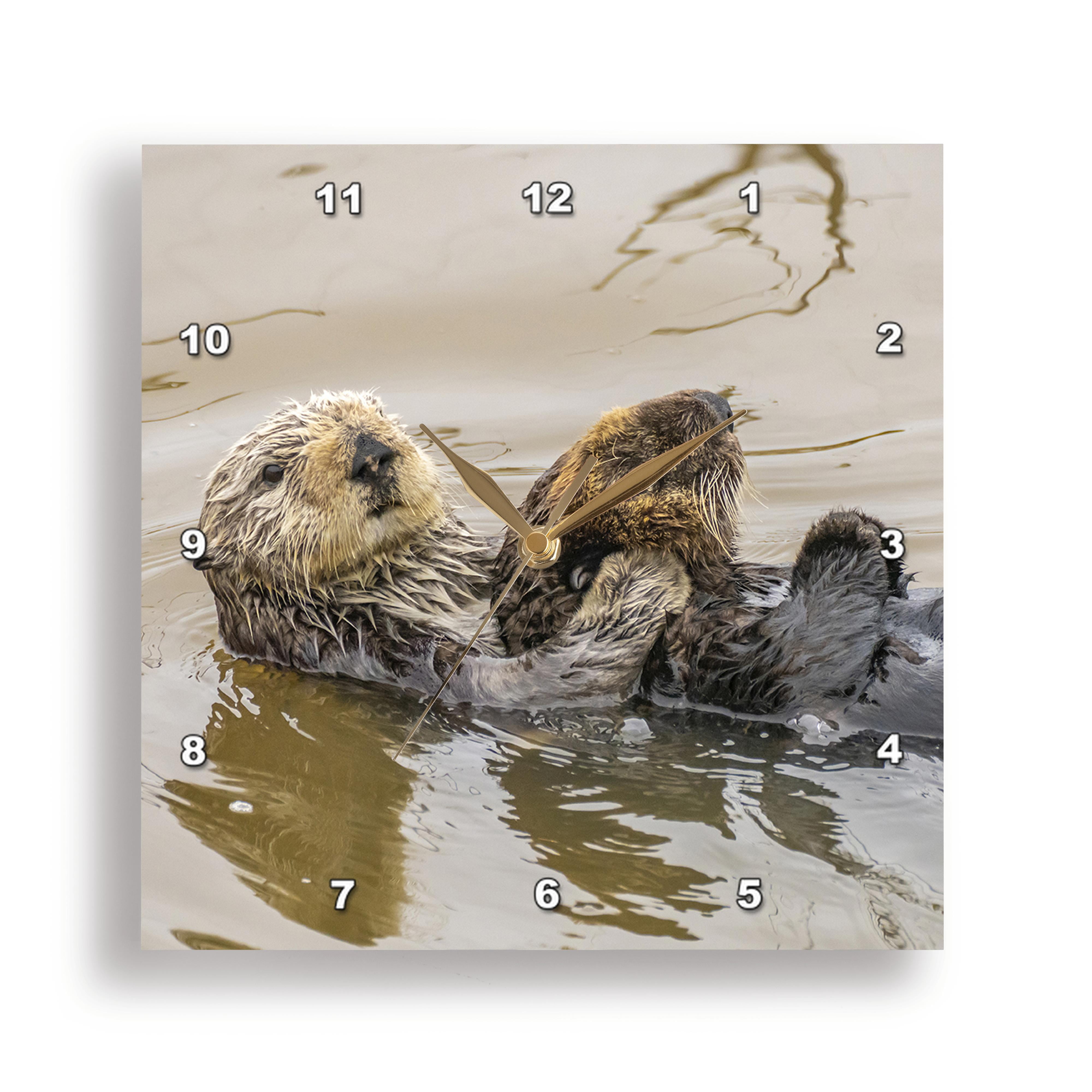 3dRose, California, Morro Bay. Sea otter mother and pup in water ...