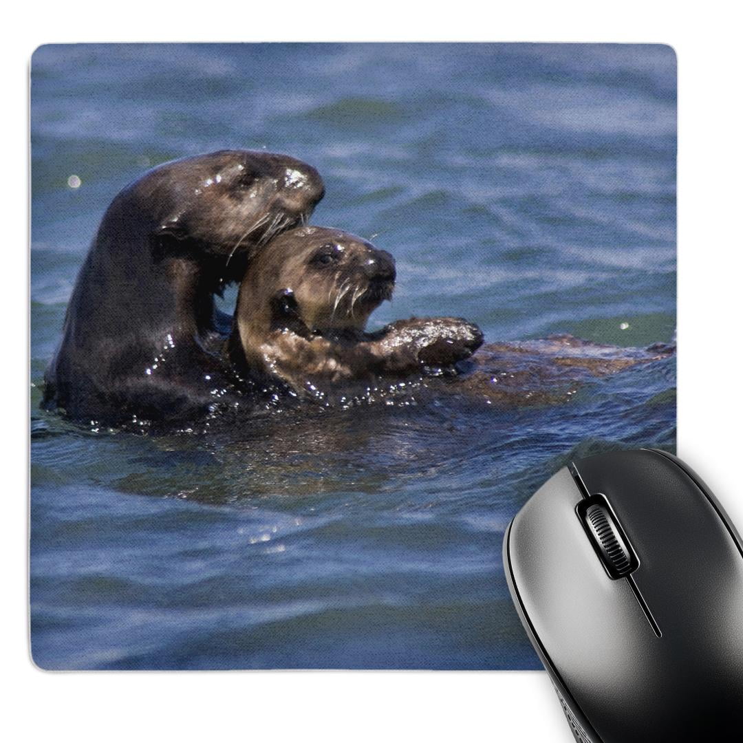 3dRose, California Sea Otter, Moss Landing, California - US05 JGS0199 ...