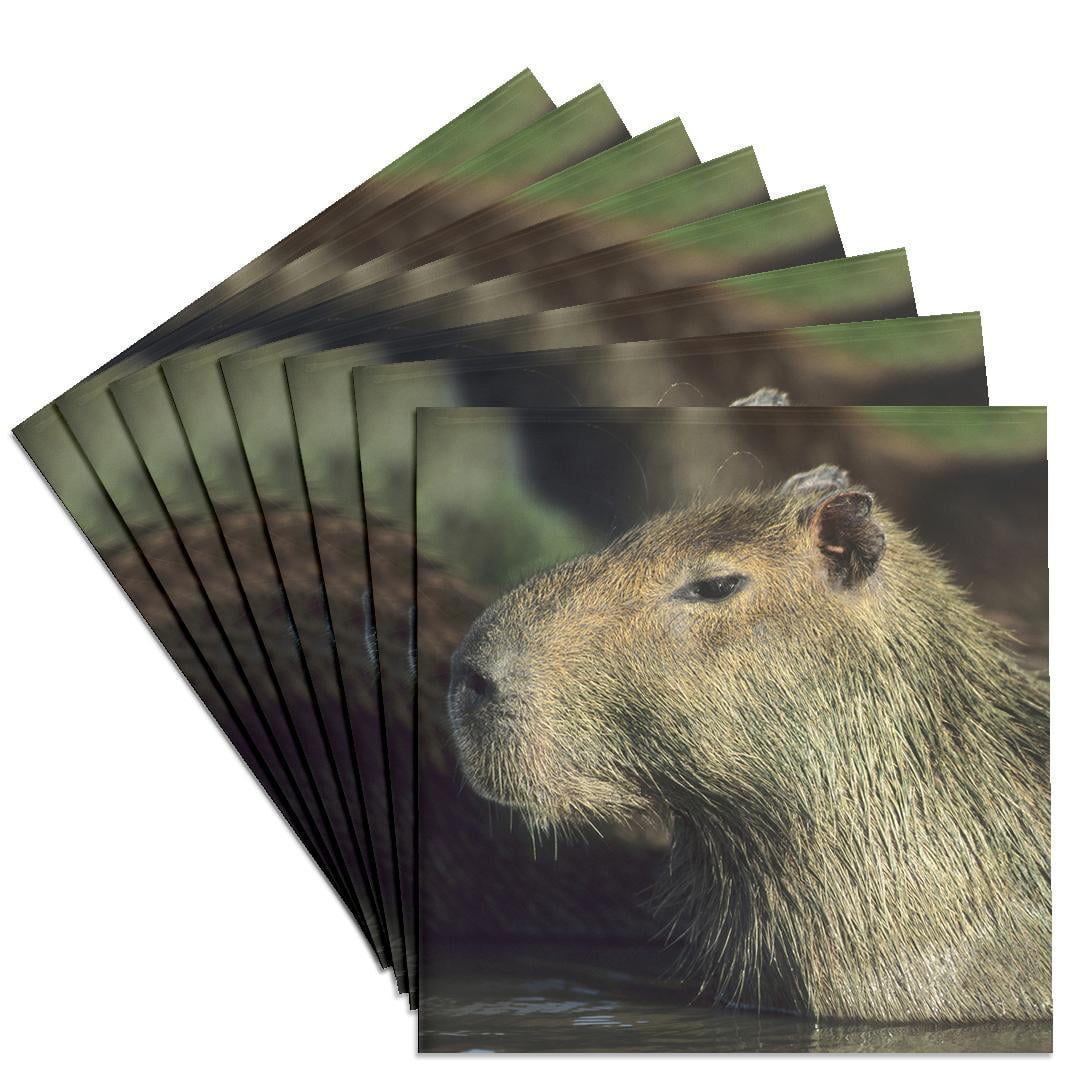 3dRose, Capybara wildlife, Llanos, Venezuela - SA20 KSC0009 - Kevin ...