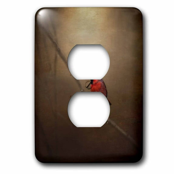 3dRose, Cardinal Fine Art Décor, 2 plug outlet cover - Walmart.com