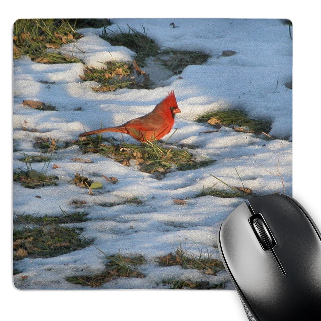 3dRose, Cardinal in the Snow, Mouse Pad - Walmart.com