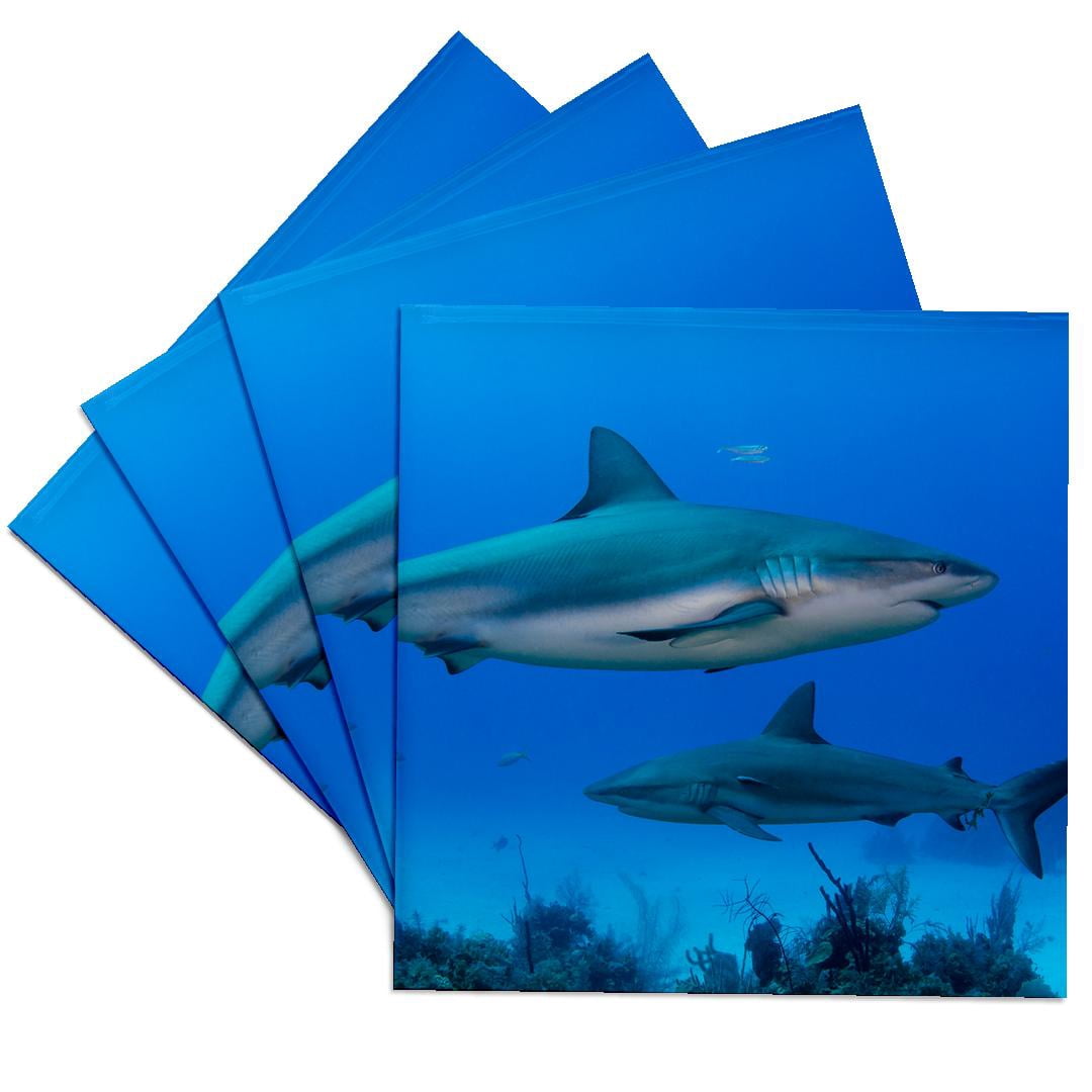 3drose, Caribbean Reef Shark., Set of 4 Ceramic Tile Coasters - Walmart.com