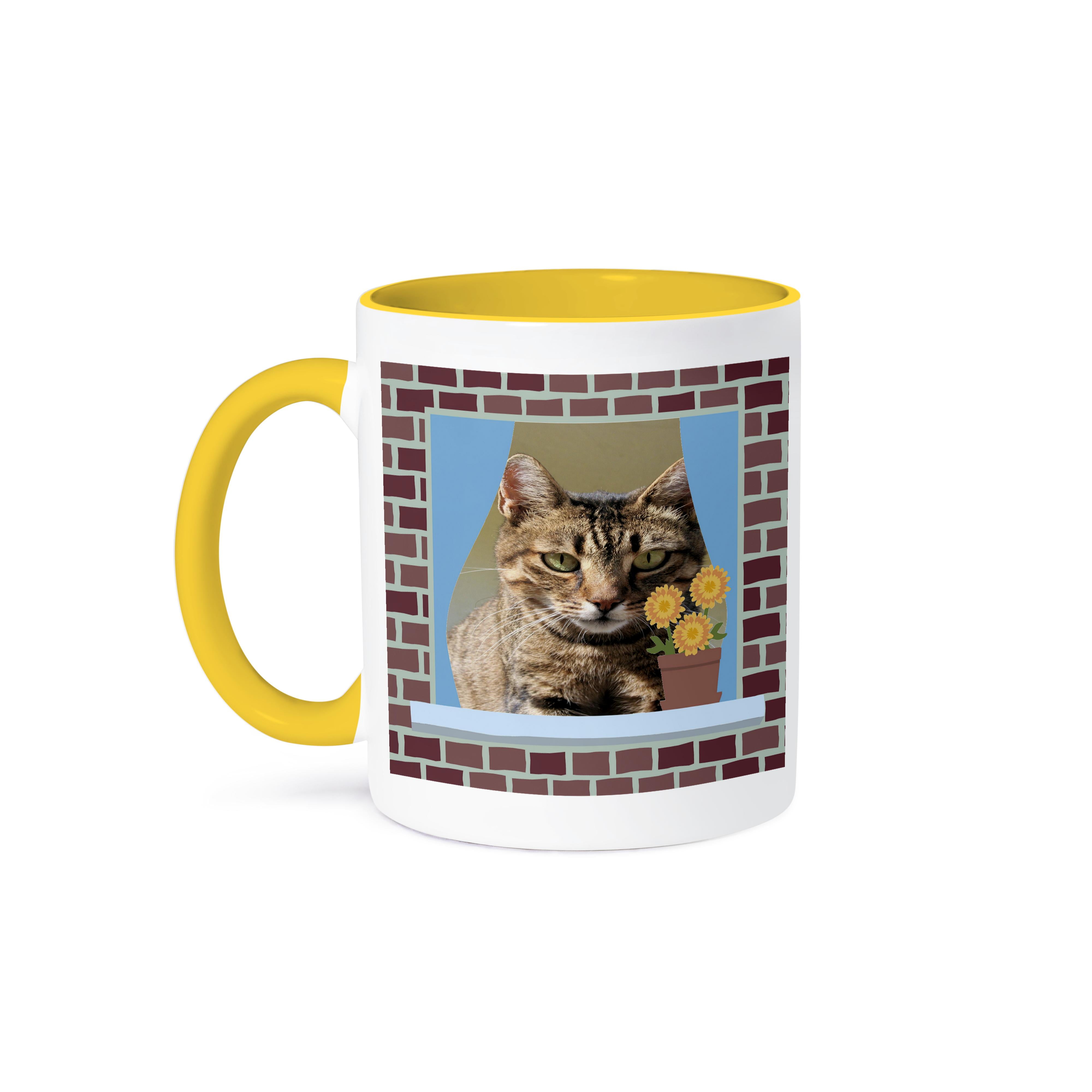 3dRose, Cat In A Window - animal, moggie, tabbies, tabby cat, cat, cats ...