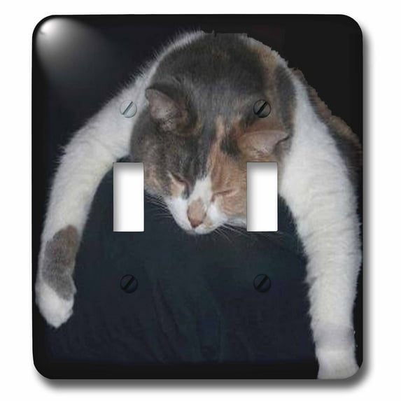 3dRose, Cat Sleeping on Shoulder, double toggle switch - Walmart.com