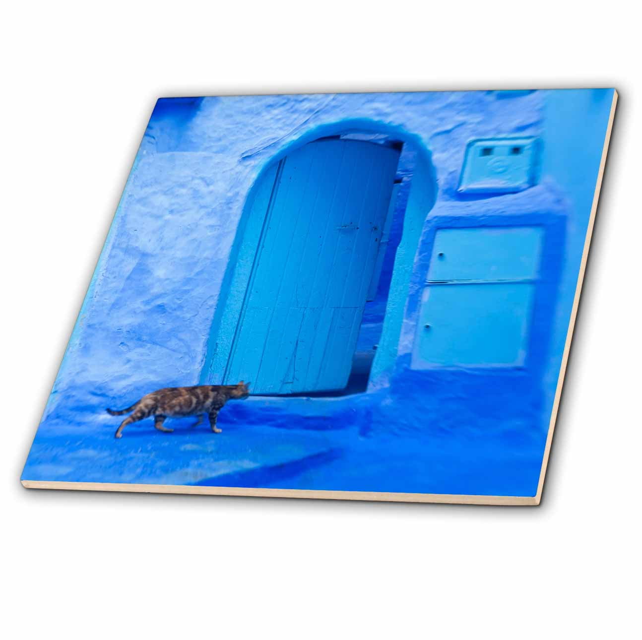 3dRose, Cat in doorway, Chefchaouen, Morocco, 4 Inch Ceramic Tile ...