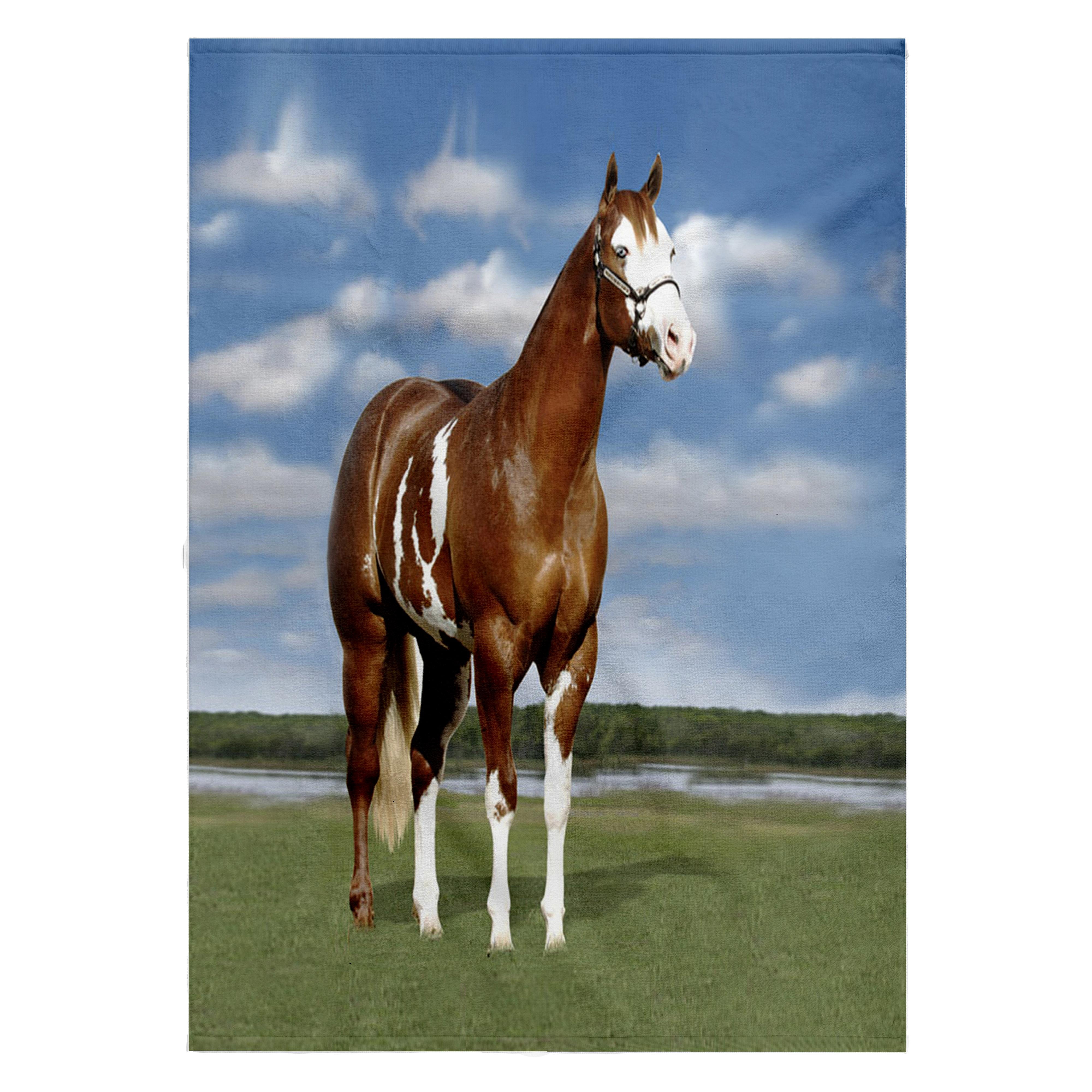 3dRose, Champion Paint Quarter Horse, 22x30 Bath Hand Pool Towel ...