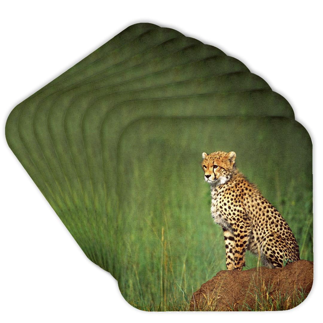3drose, Cheetah on the Look Out, Tanzania Africa - Na02 Dno0340 - David ...