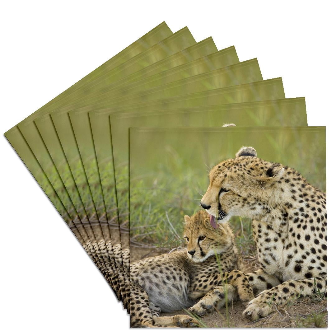 3drose, Cheetah with Cub in the Masai Mara Gr, Kenya-af21 Jmc0163 - Joe ...