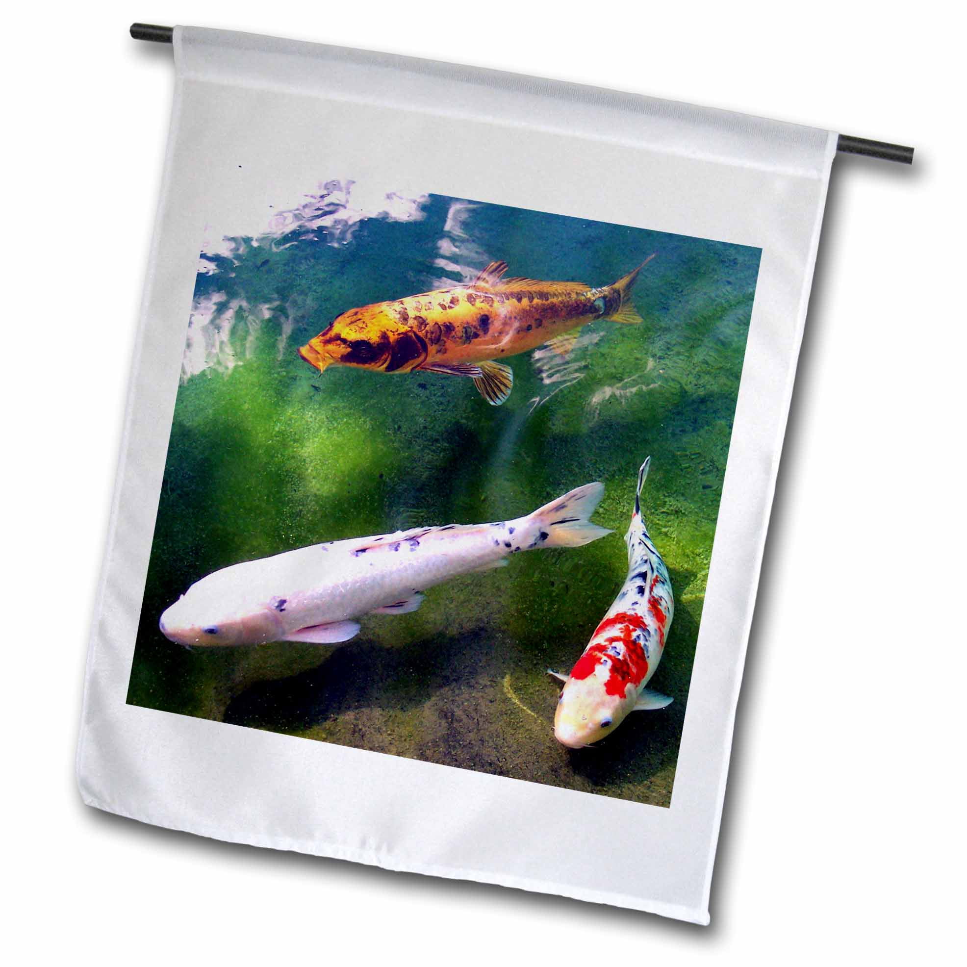 3dRose Chinese Koi Carp Fish - Garden Flag, 12 by 18-inch - Walmart.com