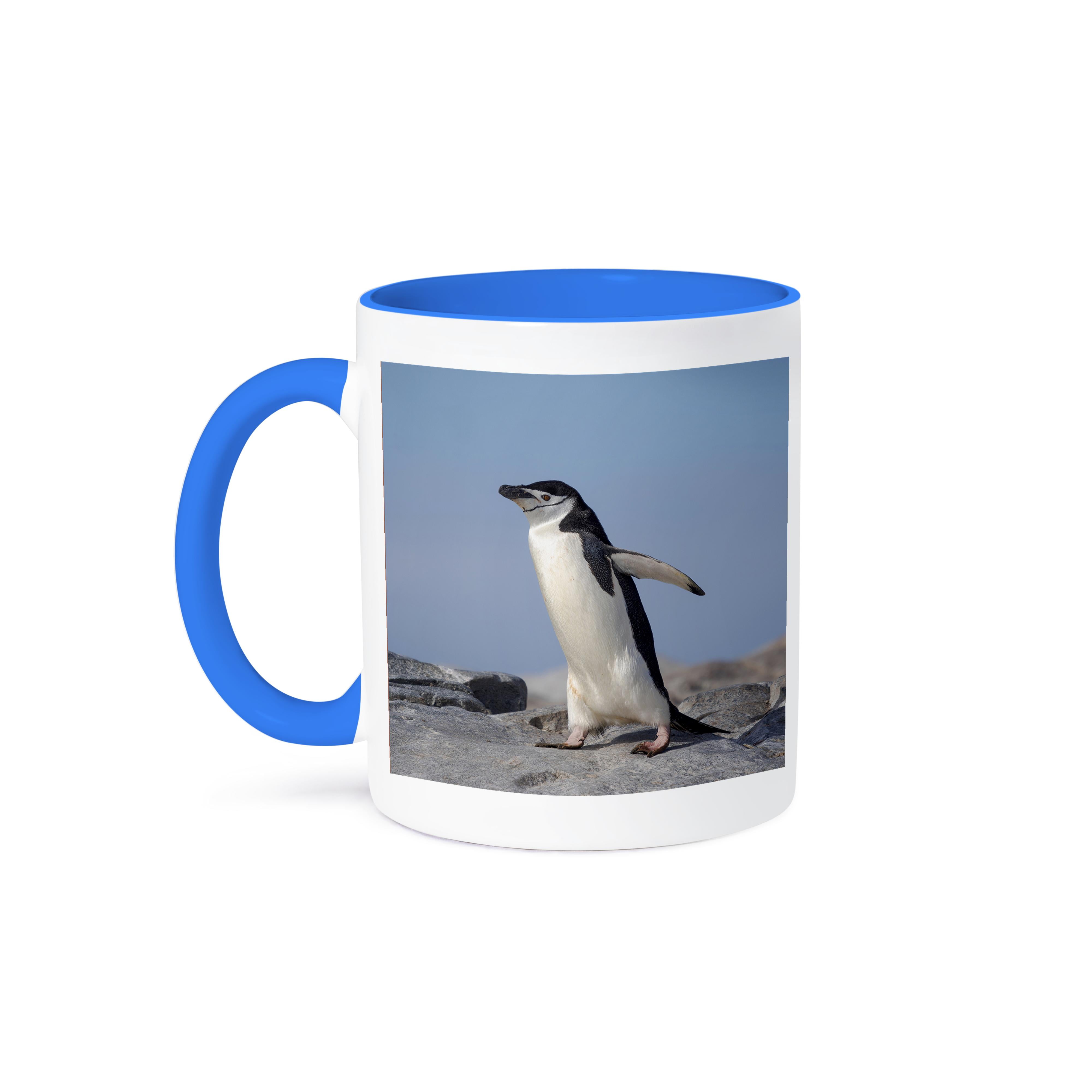3dRose, Chinstrap penguin. Antarctica, Palmer Archipelago, Hydrurga Rocks., 15oz Two-Tone Blue ...