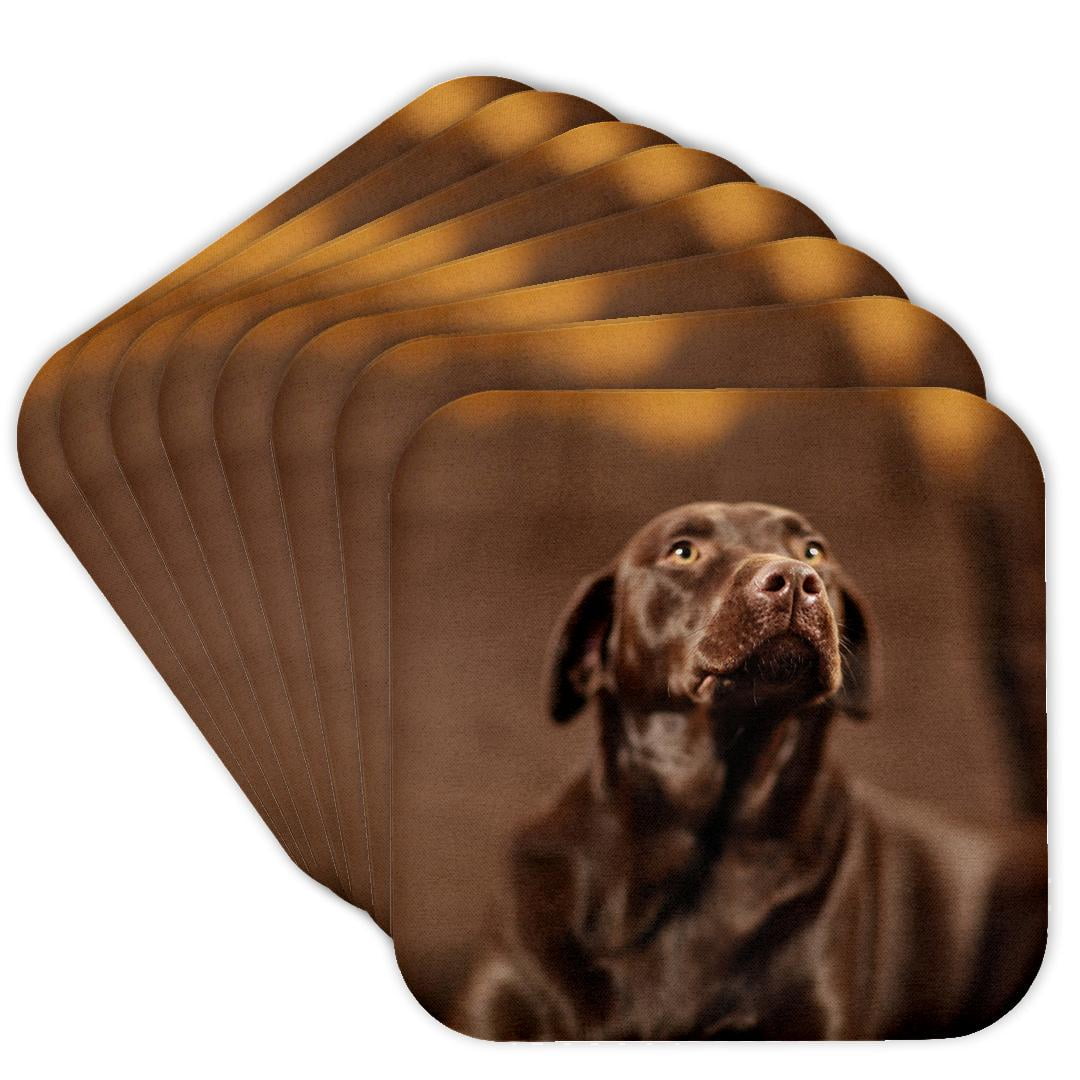 3drose, Chocolate Lab Pet Dog Labrador Retriever Photo, Set of 8 ...