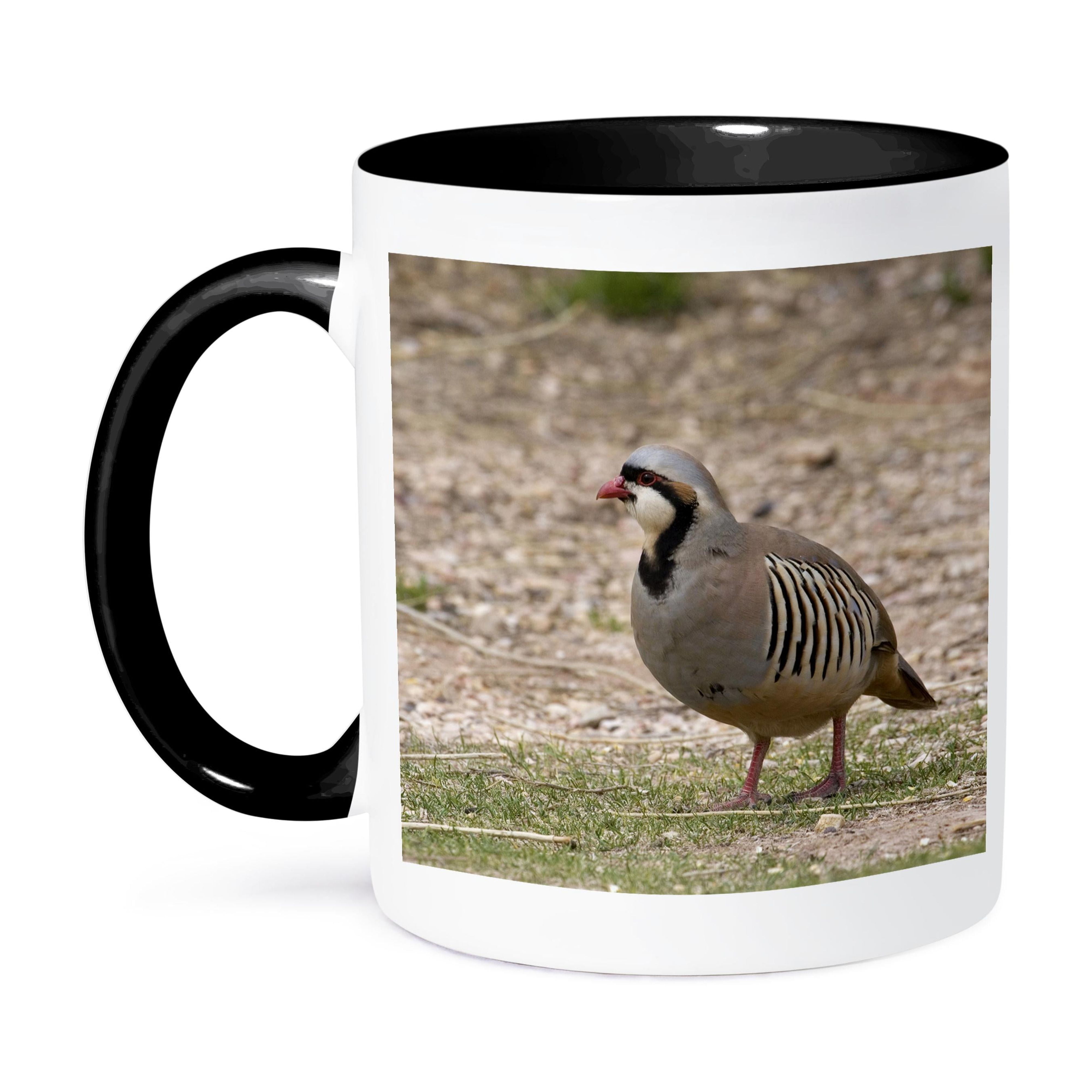 3dRose, Chukar bird, Kodachrome Basin State Park, Utah - NA02 DJO0042 - Diane Johnson, 11oz Two ...
