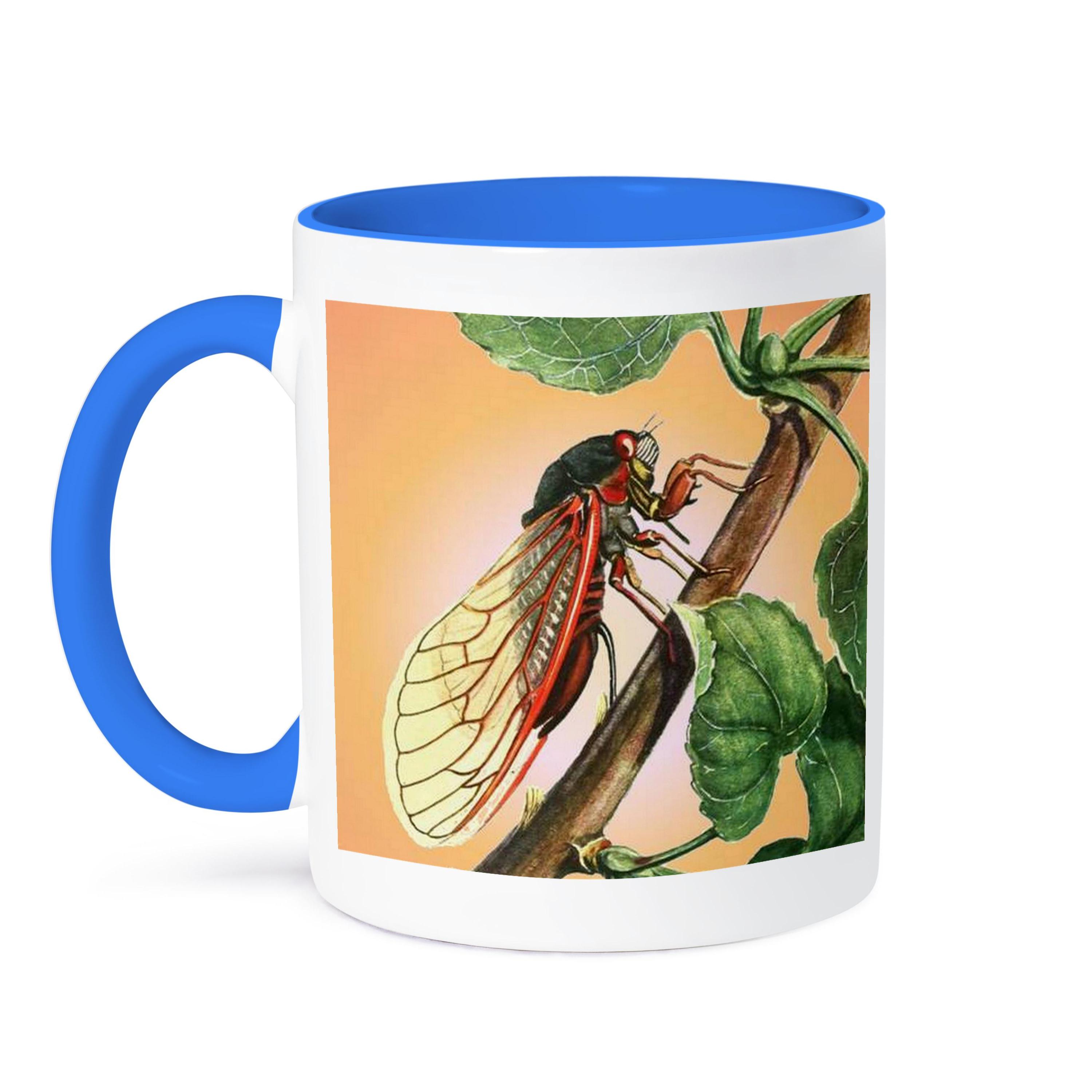 3dRose, Cicada - cicada, cicadas, magicicada septendecim, insect ...