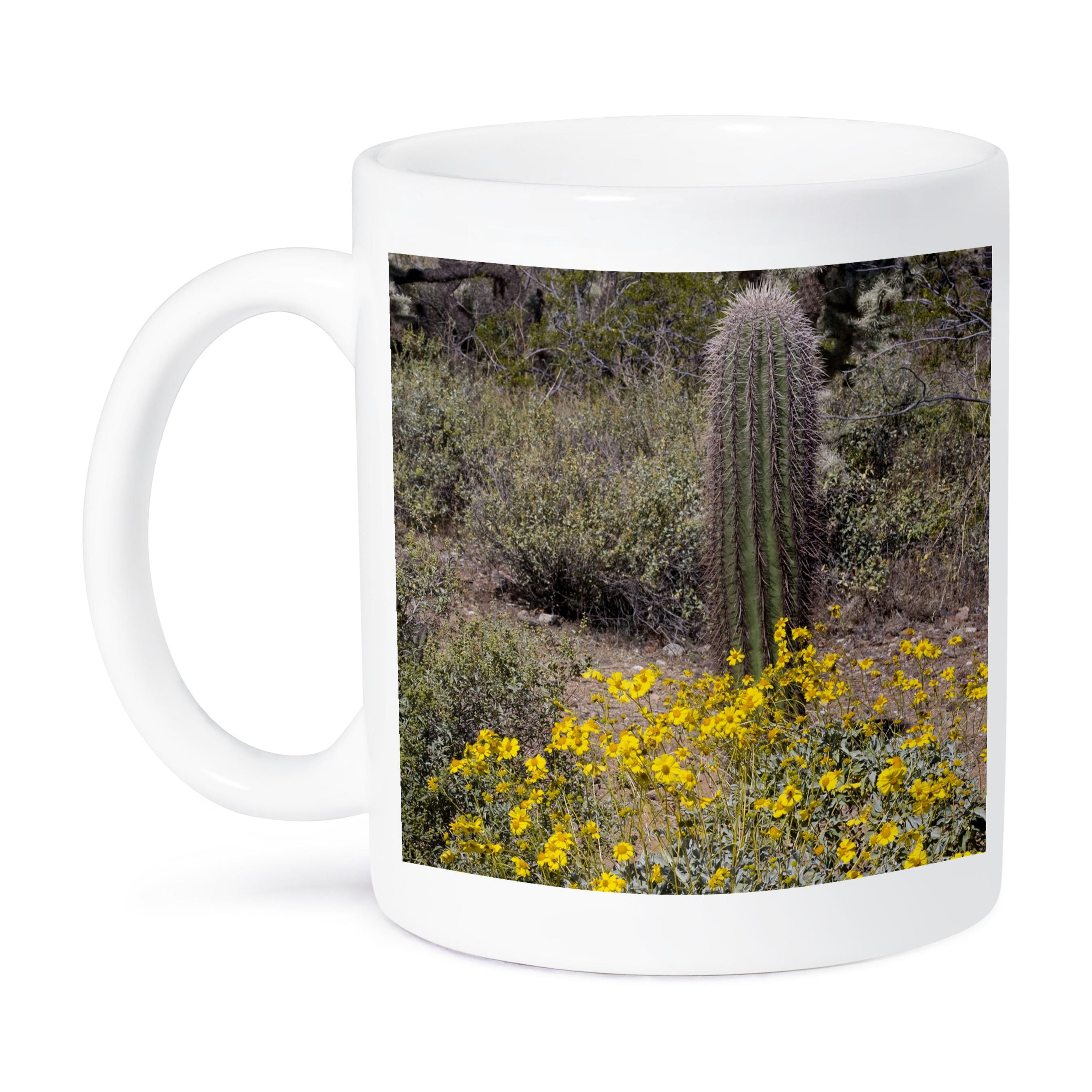 3dRose, Compass Barrel Cactus, Sonoran Desert, Arizona - US03 FZU0023 ...