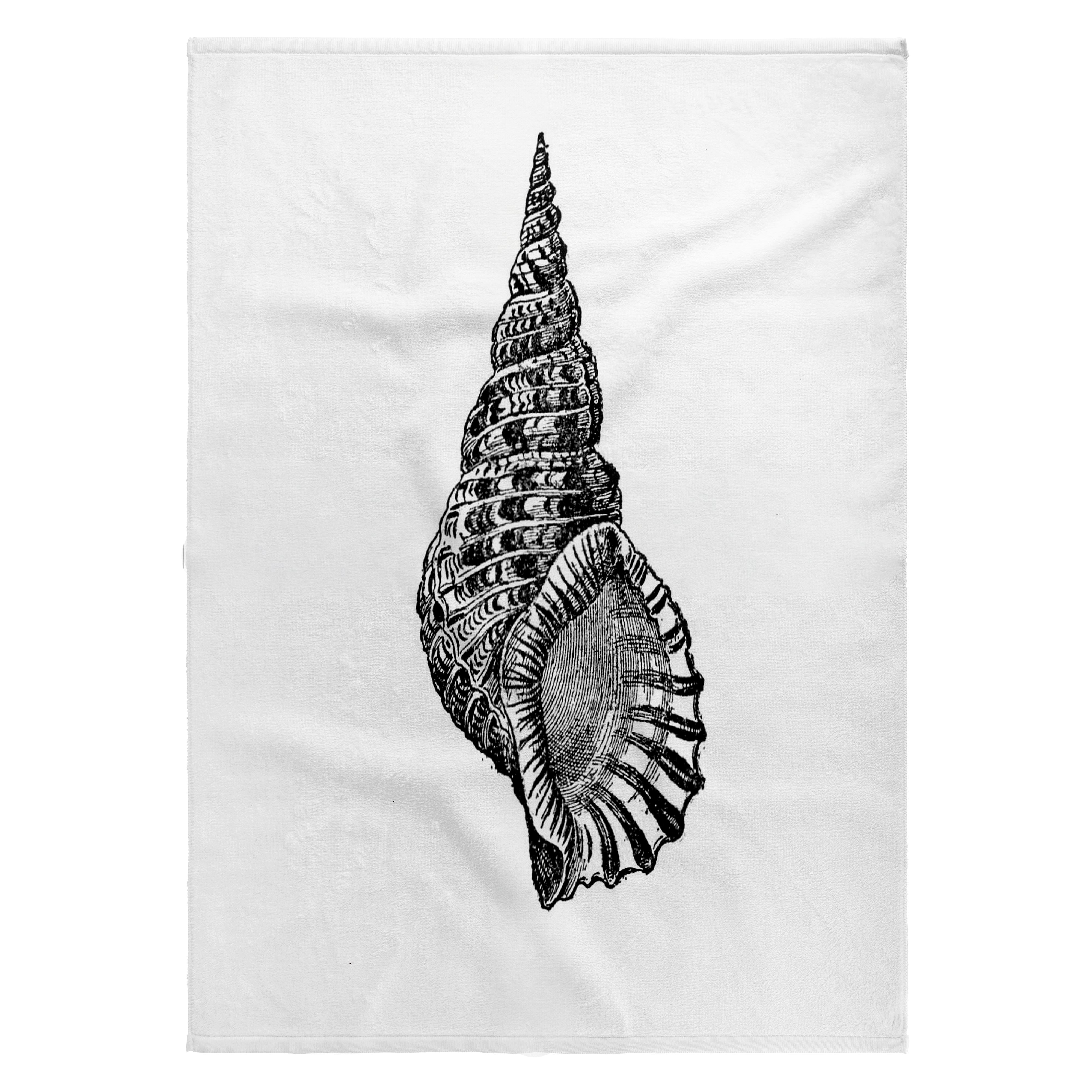 3dRose, Conical seashell. Black and white beach sea shell spiral ...