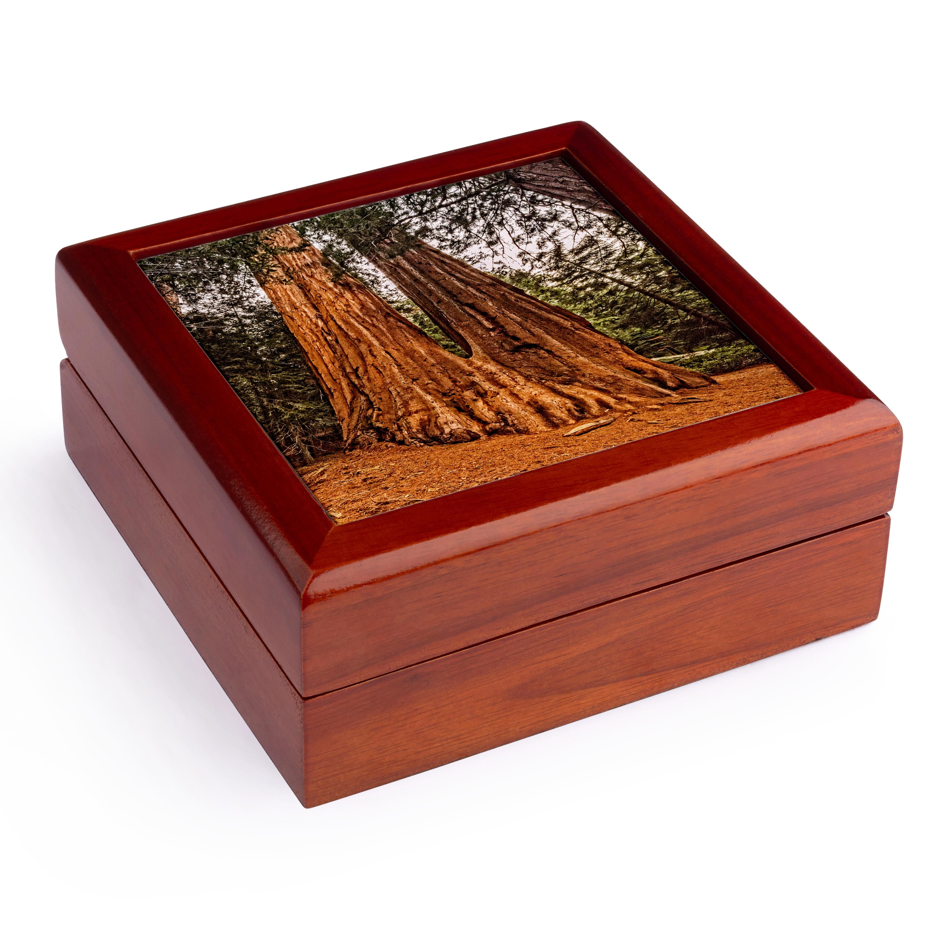 3dRose, Conjoined Redwood Trees in Sequoia National Park, Jewelry Box 5 ...