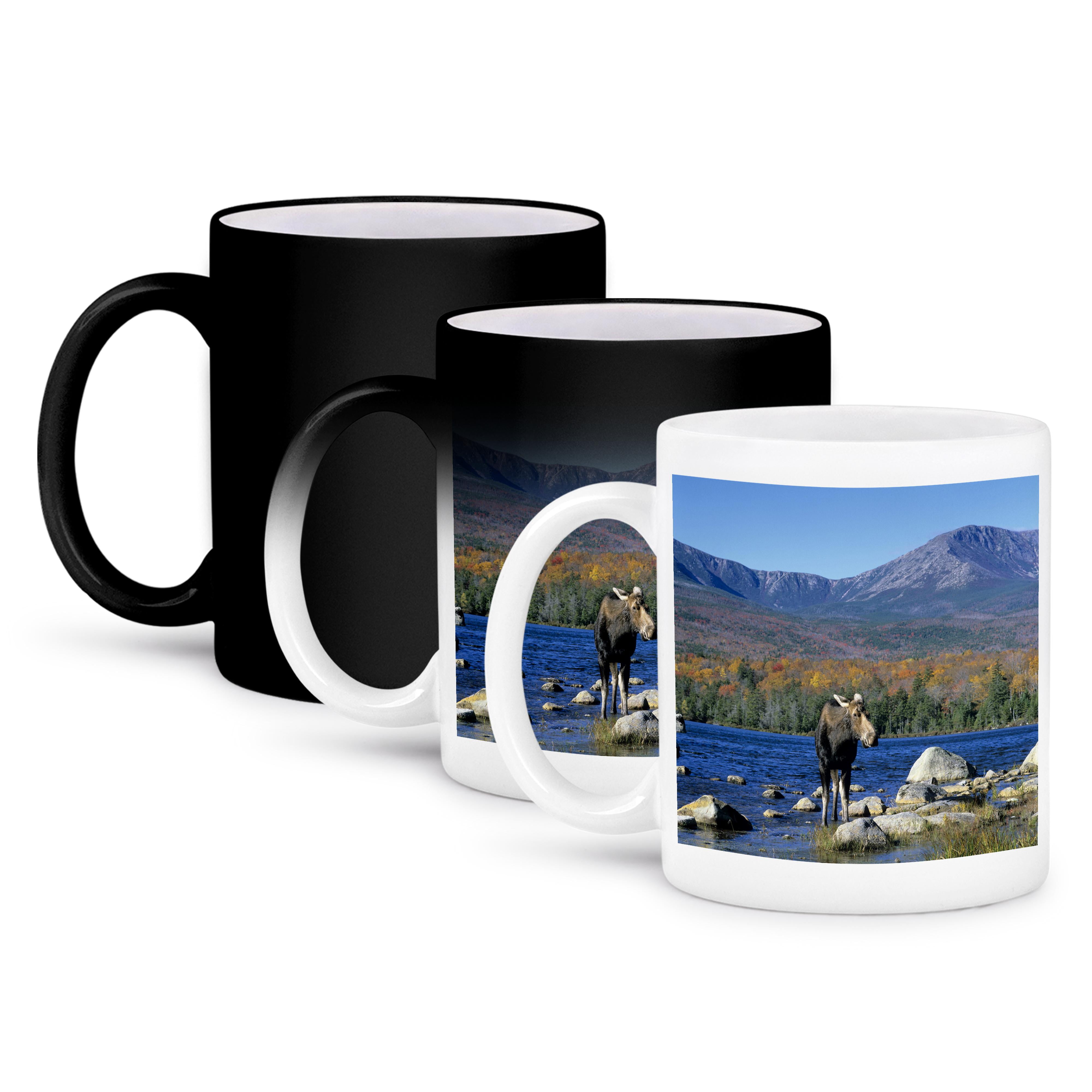 3dRose, Cow moose wildlife, Mt. Katahdin, Baxter SP, Maine - US20 ...