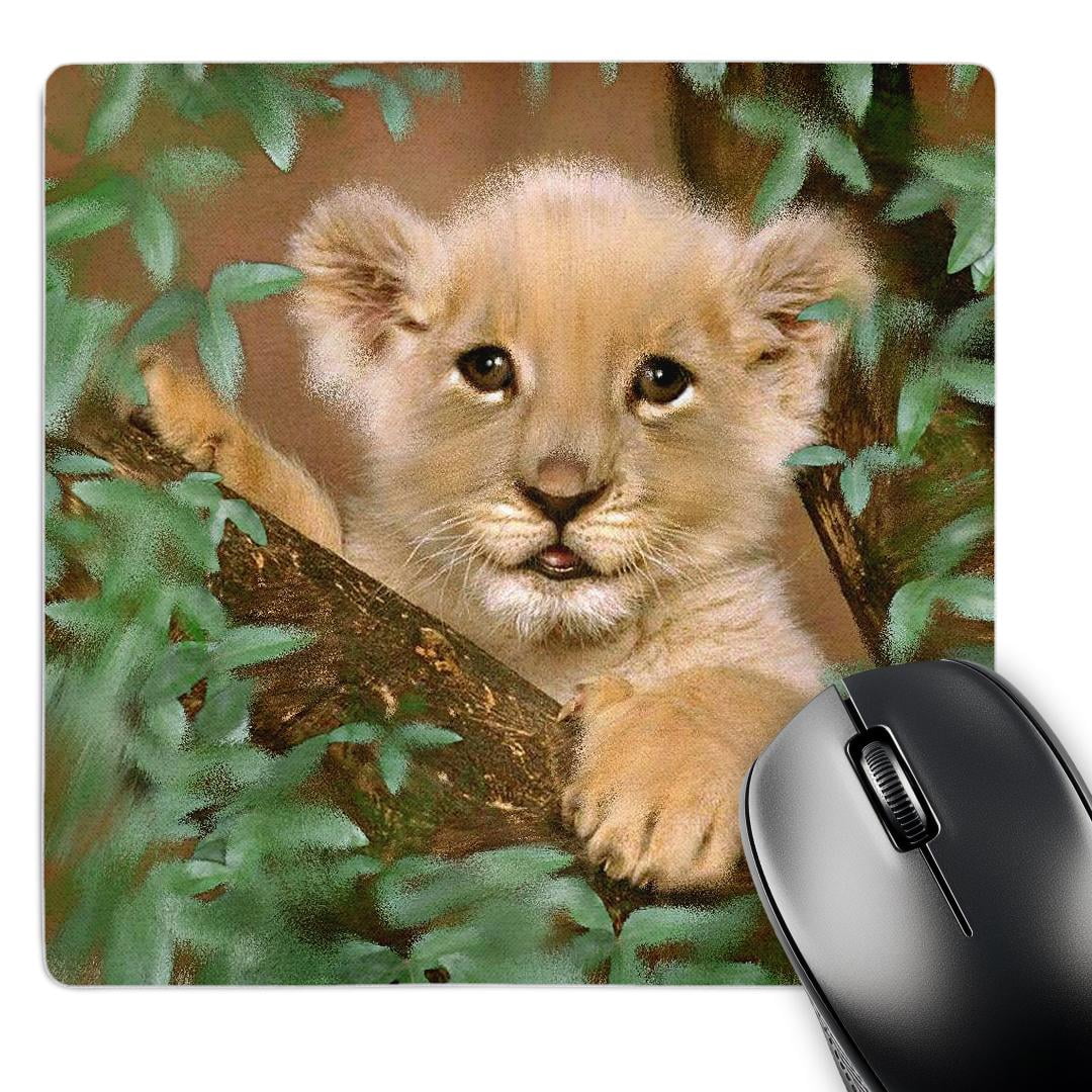 3dRose, Cub Lion, Mouse Pad - Walmart.com
