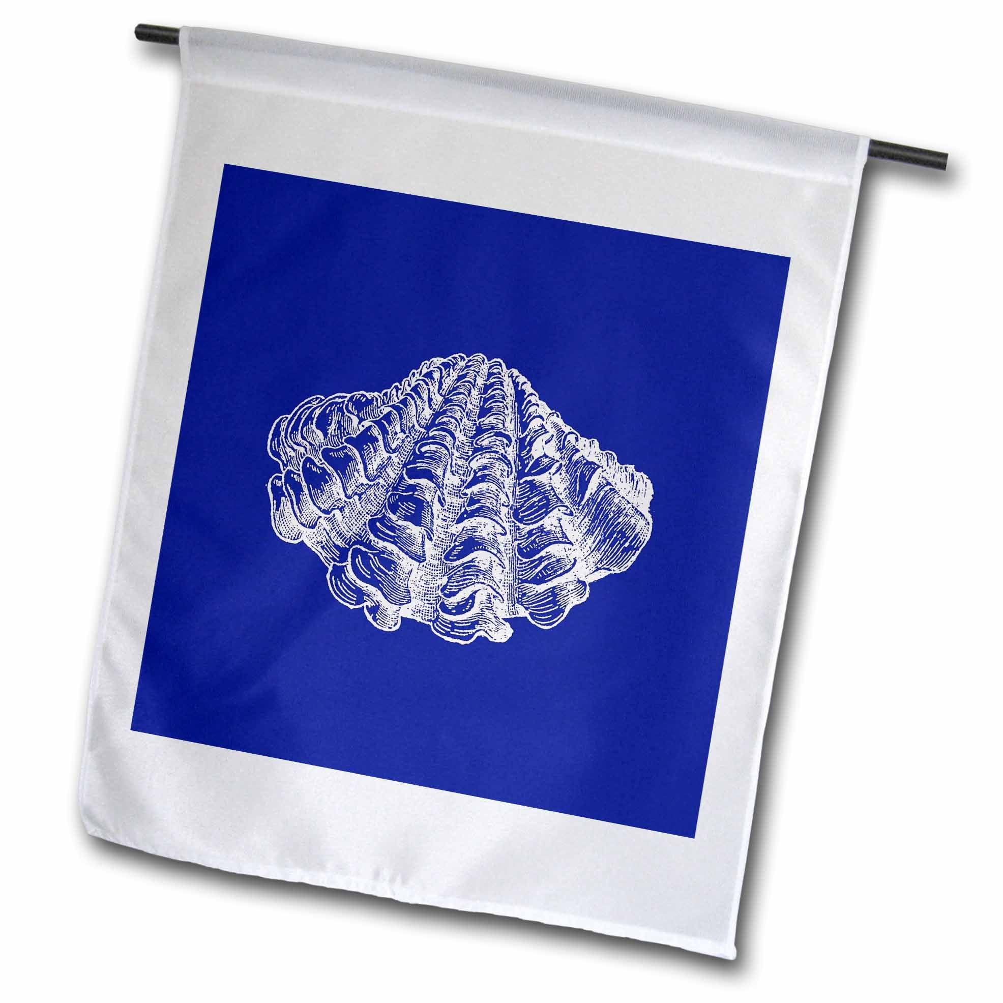 3dRose, Dark Blue seashell etching print. Modern Sea shell clam beach ...