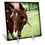 3dRose Dark Brown Horse Head is a front photo of a beautiful horse ...