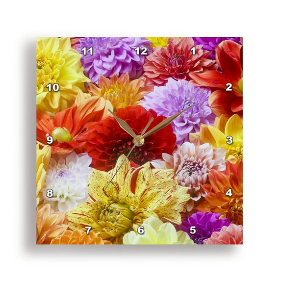 3dRose, Deep bright orange hibiscus flower, Honolulu. State flower of ...