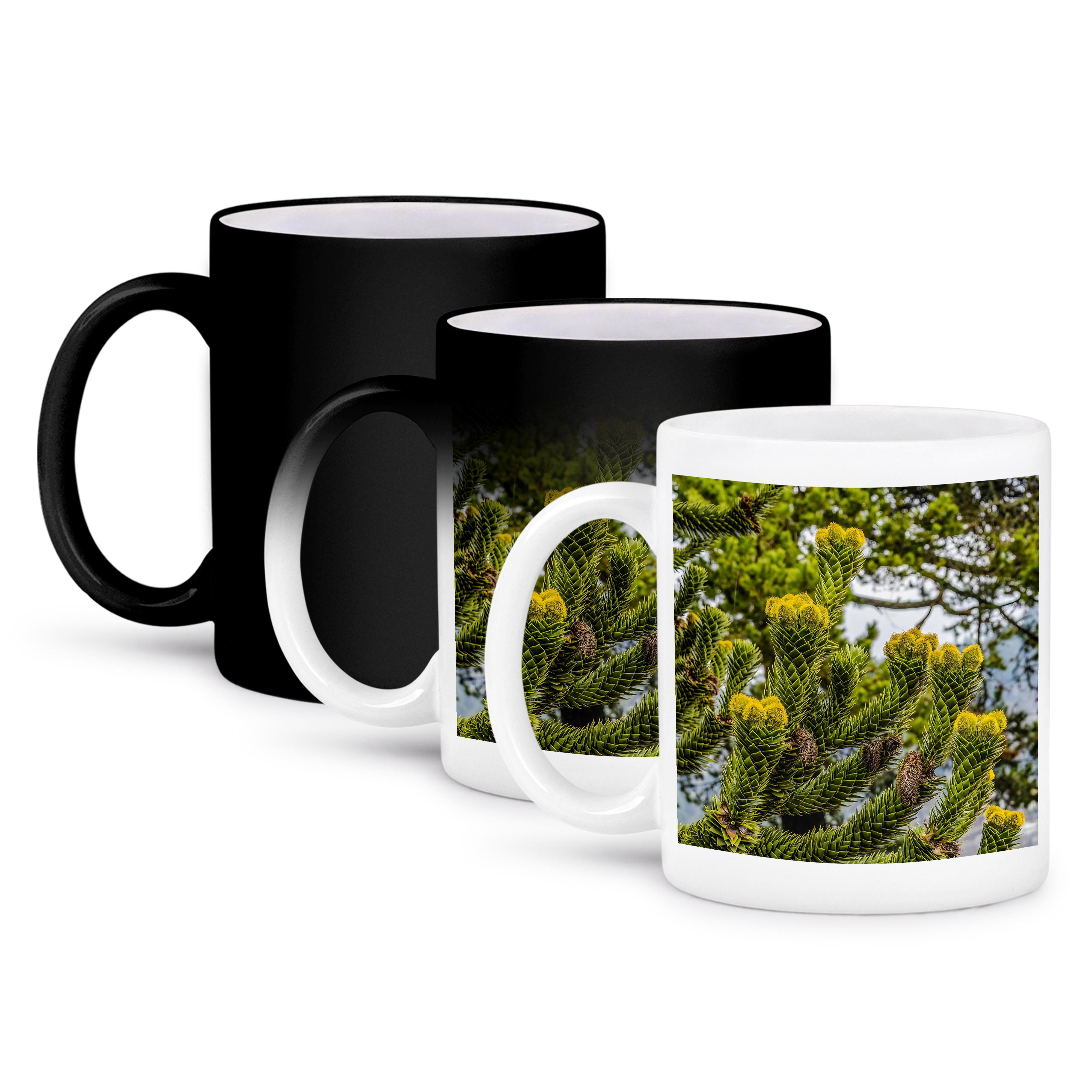 3drose, Deep Bright Orange Hibiscus Flower, Honolulu. State Flower of ...