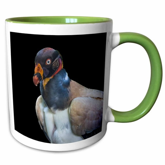 3drose, Deep Bright Orange Hibiscus Flower, Honolulu. State Flower of ...