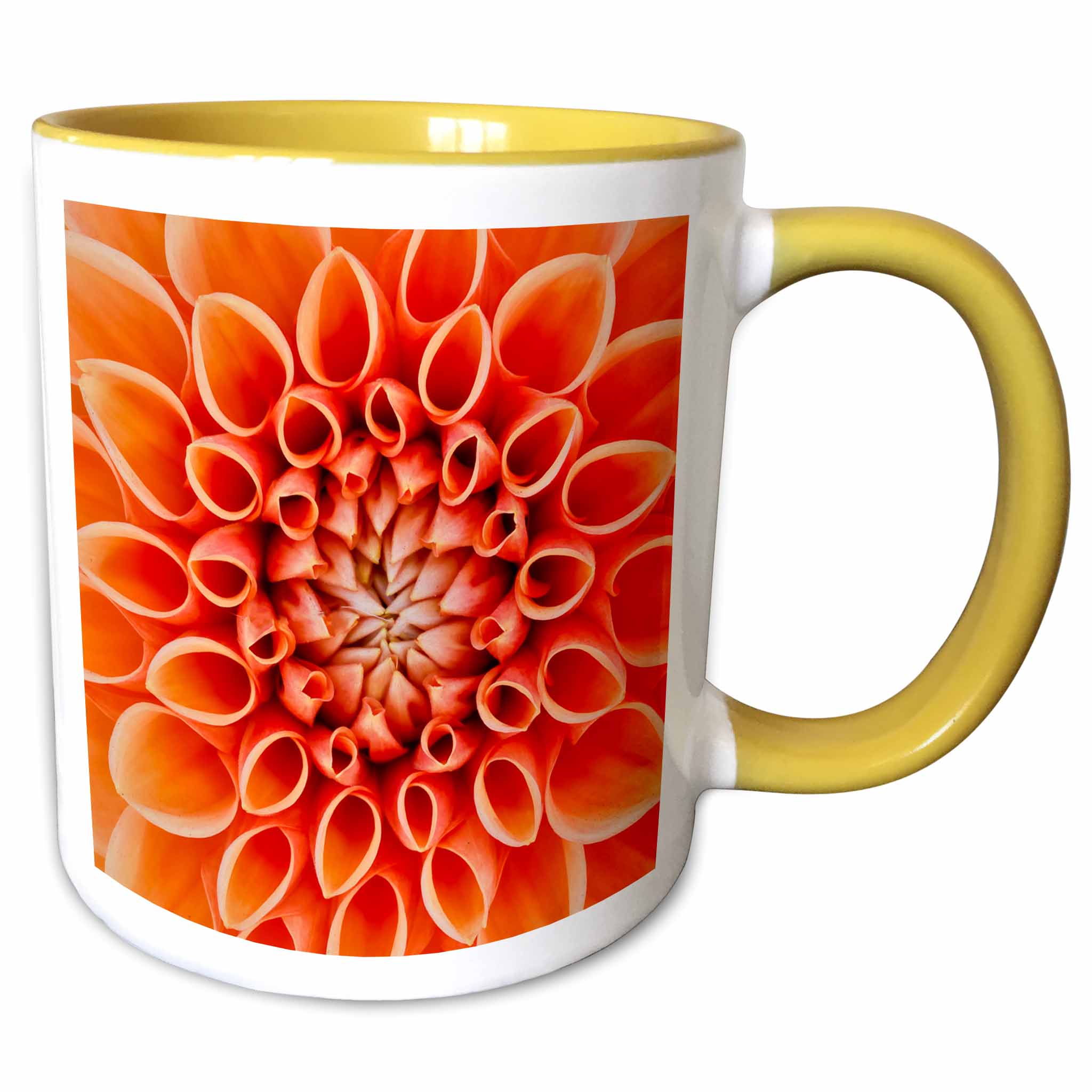 3drose, Deep Bright Orange Hibiscus Flower, Honolulu. State Flower of ...