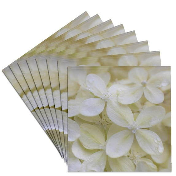 3drose, Deep Bright Orange Hibiscus Flower, Honolulu. State Flower of ...