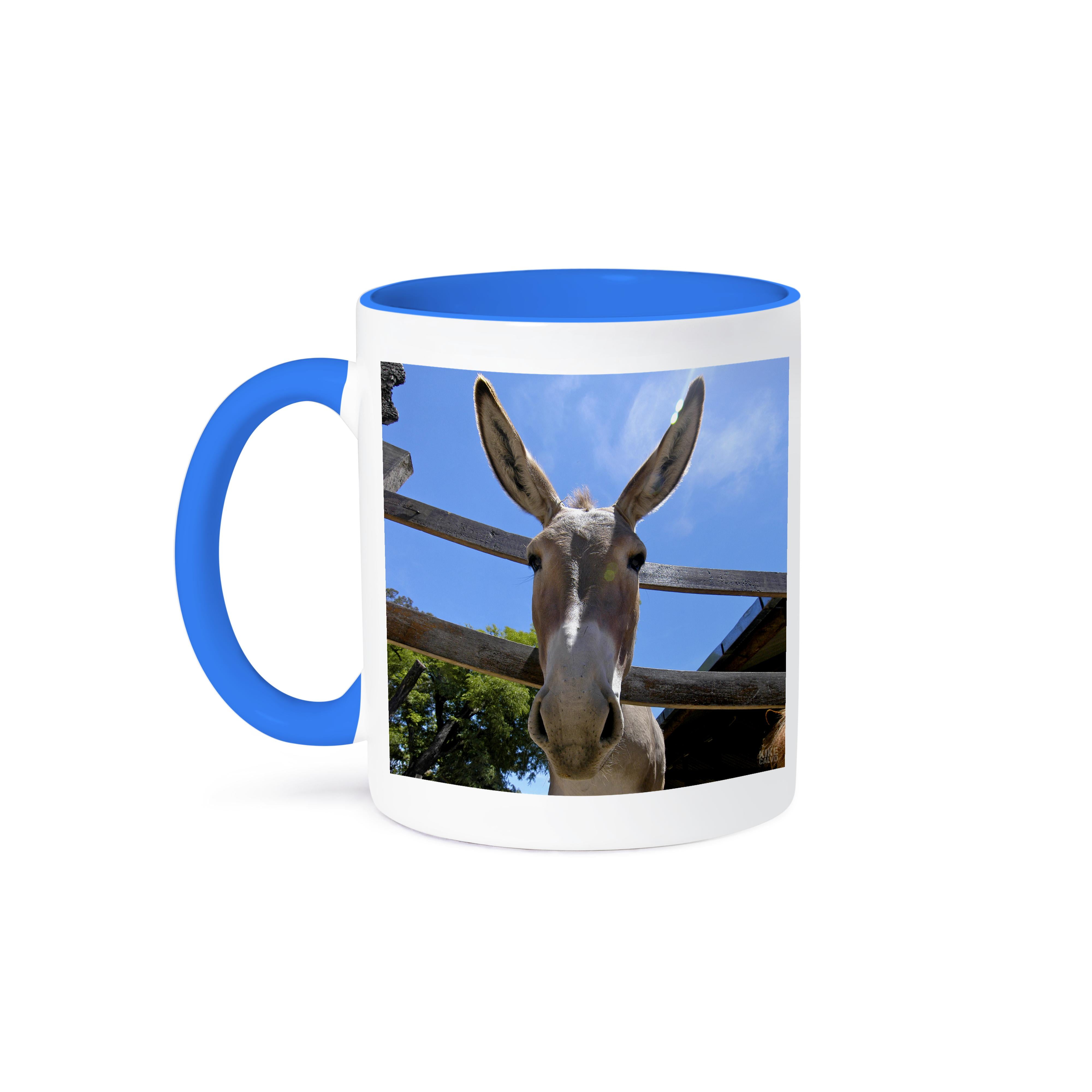 3dRose, Donkey in a farm 2, 11oz Two-Tone Blue Mug - Walmart.com