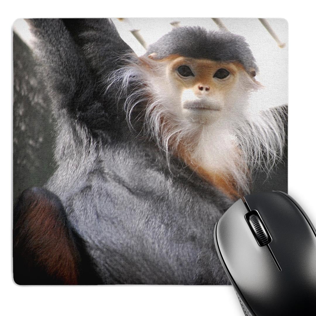 3dRose, Douc Langur Monkey, Mouse Pad - Walmart.com