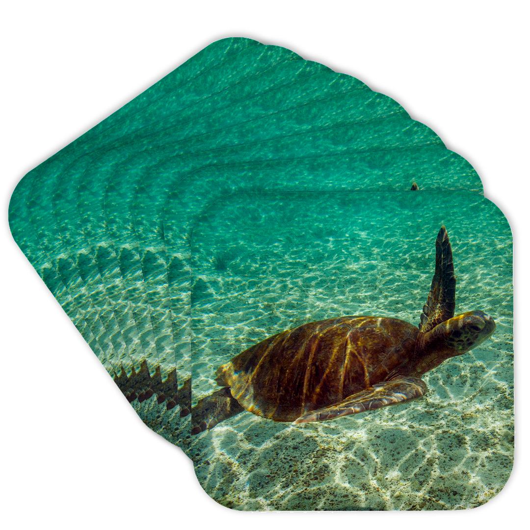 3dRose, Ecuador, Galapagos National Park. Green sea turtle underwater ...