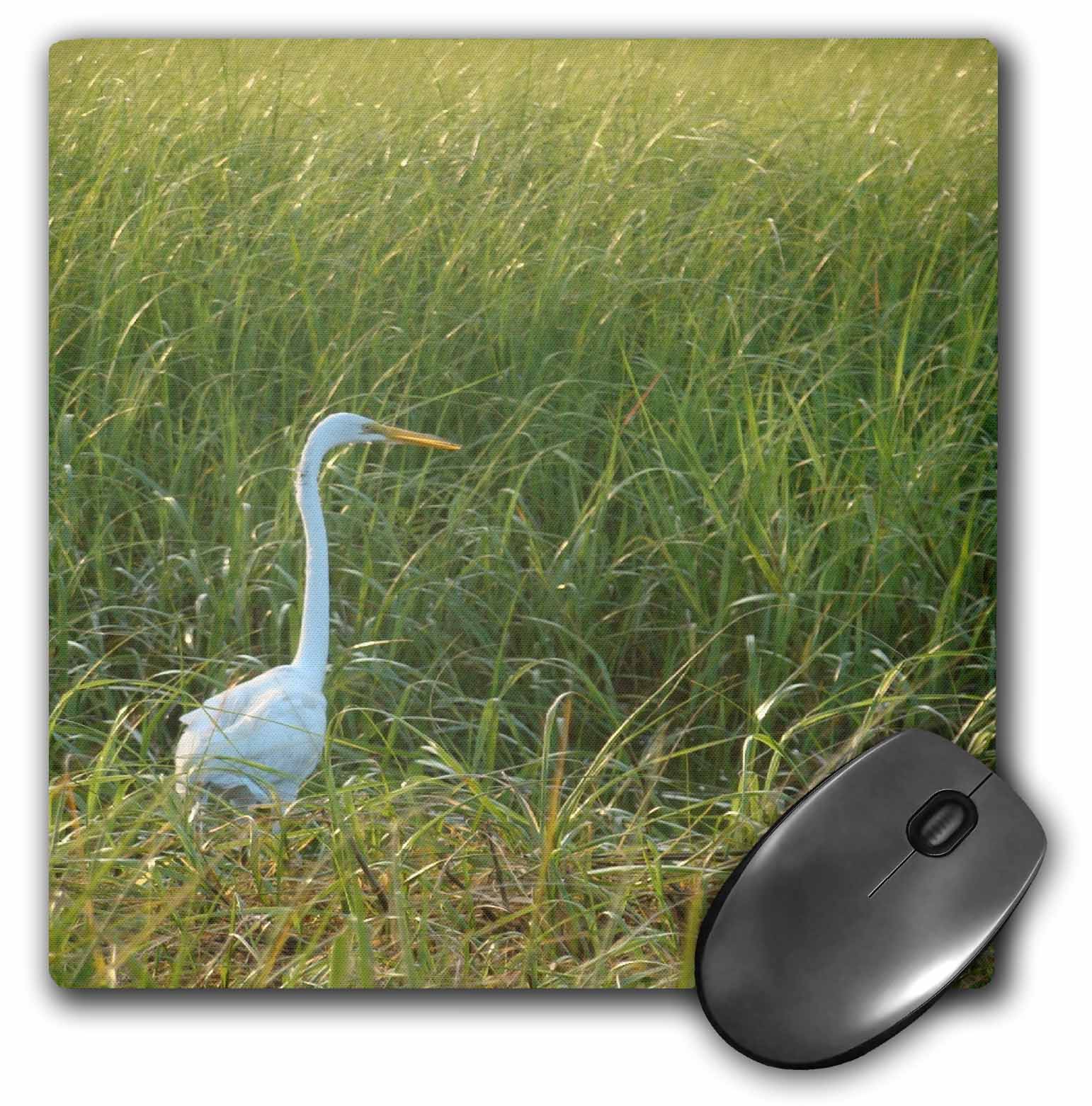 3dRose Egret, Mouse Pad, 8 by 8 inches - Walmart Business Supplies