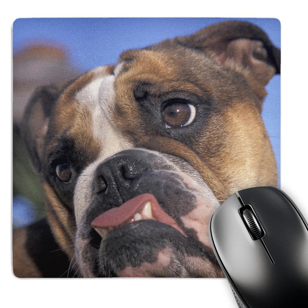3dRose, English Bulldog - NA02 MWE0138 - Michele Westmorland, Mouse Pad ...