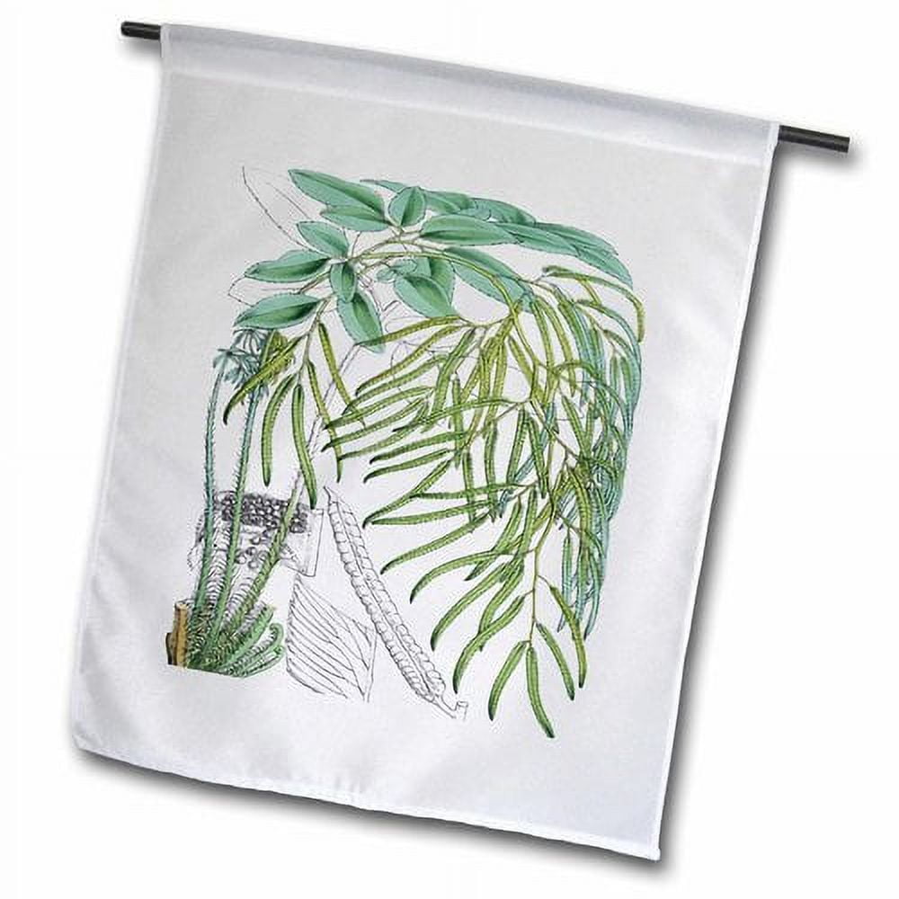3dRose English Garden Drooping Fern Polyester Garden Flag - Walmart.com