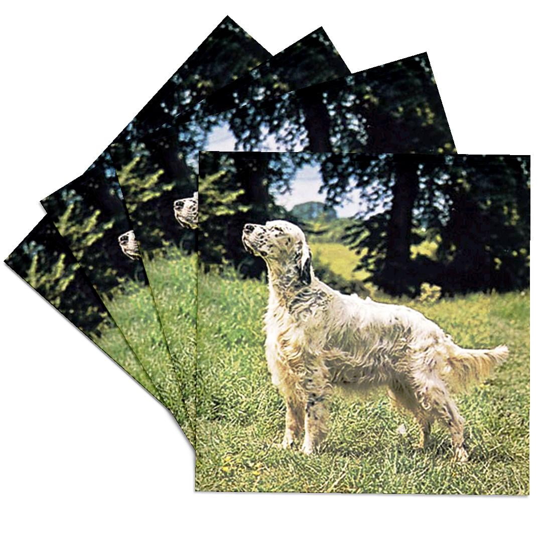 3drose, English Setter, Set of 4 Ceramic Tile Coasters - Walmart.com