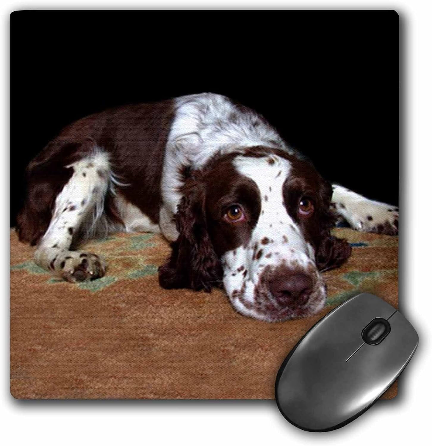 3dRose, English Springer Spaniel, MousePad - Walmart Business Supplies