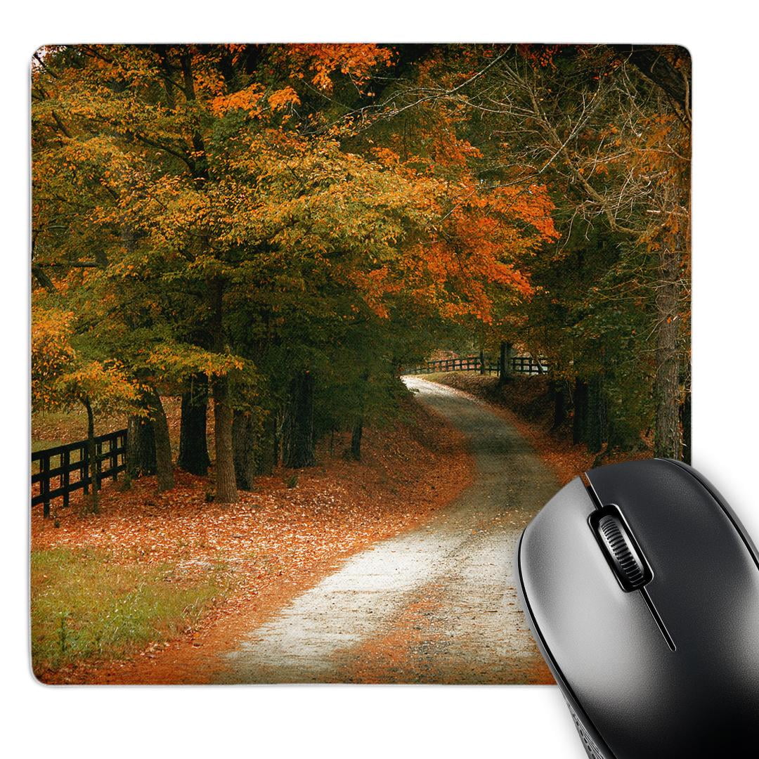 3dRose, Fall Leaves on a Country Road in Georgia, Mouse Pad - Walmart.com