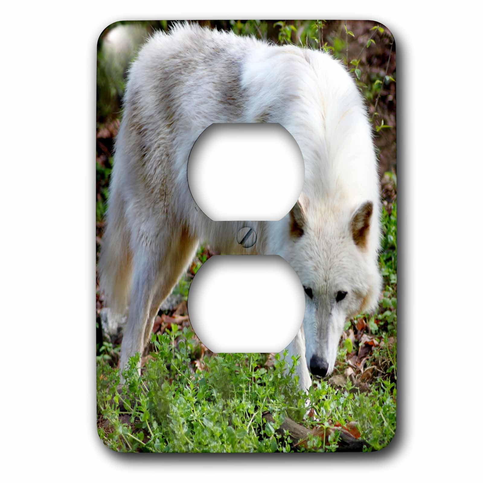 3dRose, Female Gray Wolf A white colored female gray wolf, 2 plug ...