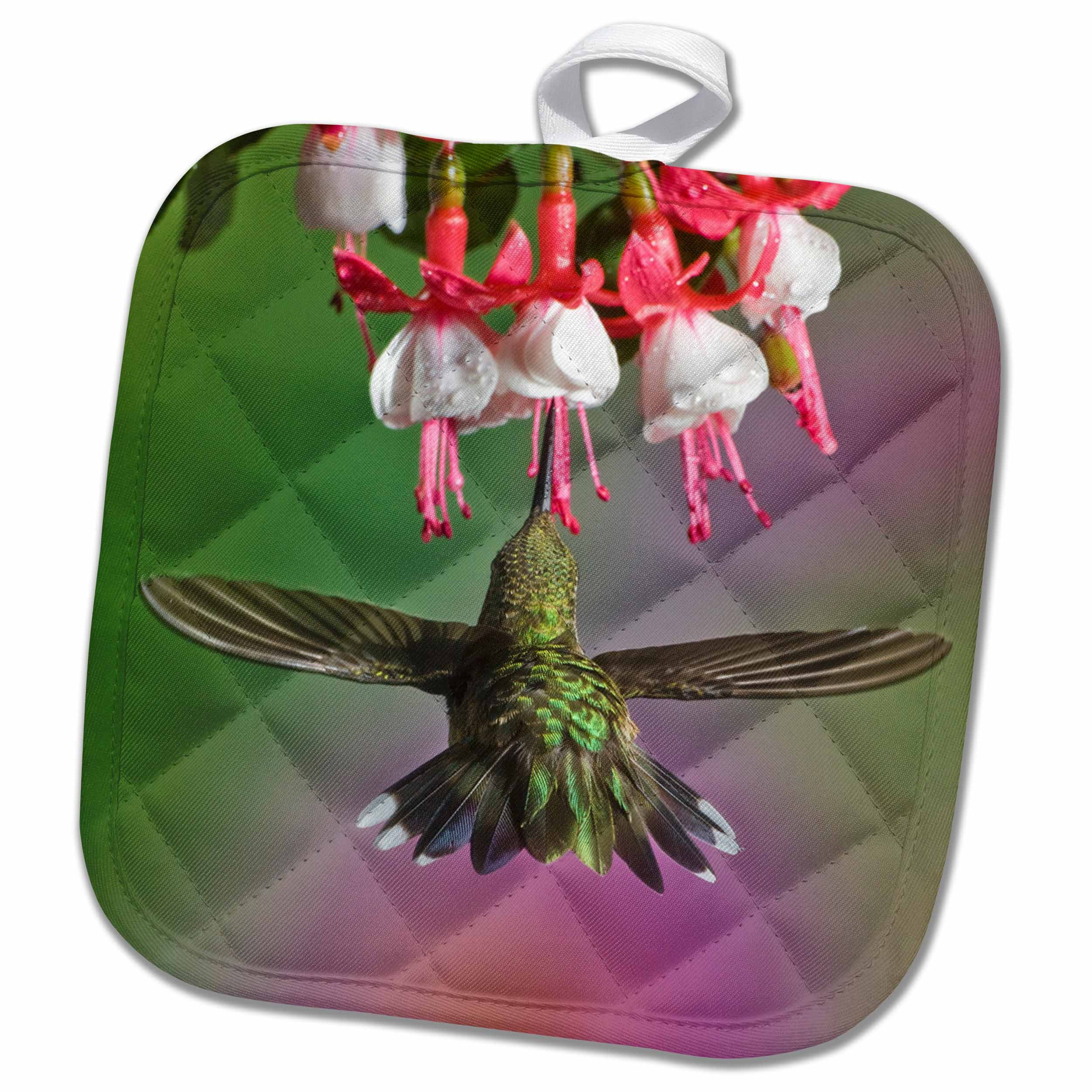 3dRose, Female Ruby throated Hummingbird in flight - NA02 AJE0347 ...