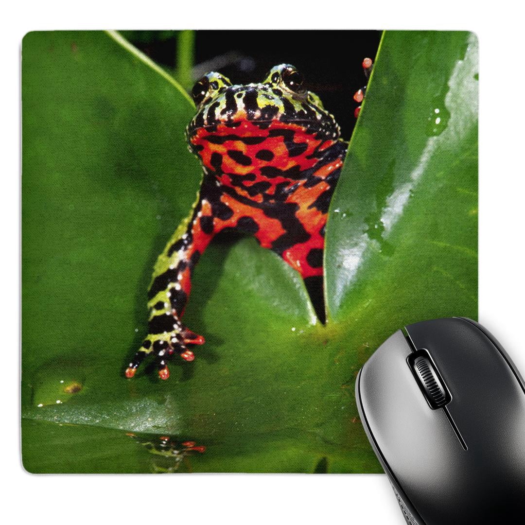 3dRose, Fire Belly Toad, Native to China - NA02 DNO0112 - David ...