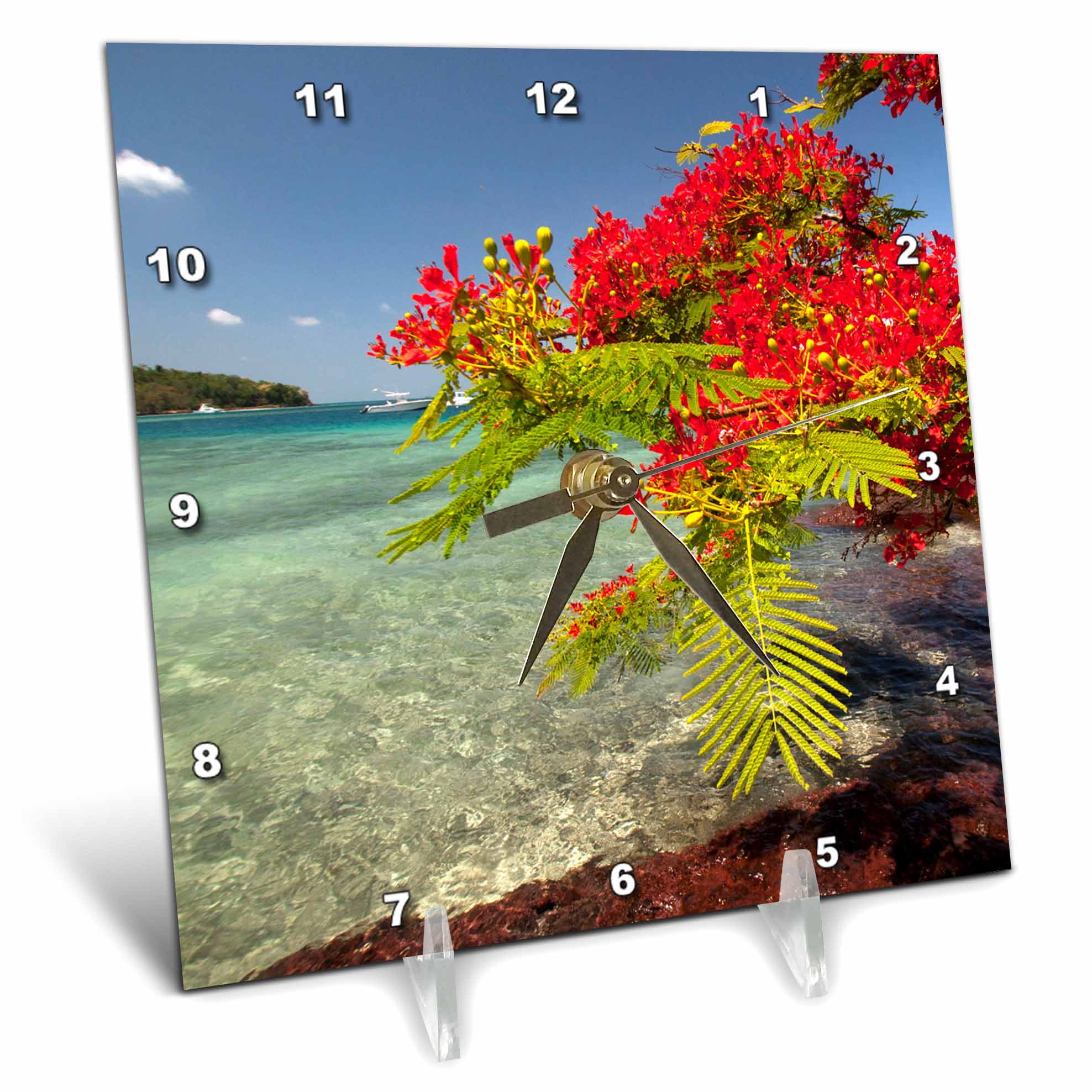 3dRose, Flamboyant Christmas Tree, Turtle Island, Yasawa Islands, Fiji ...