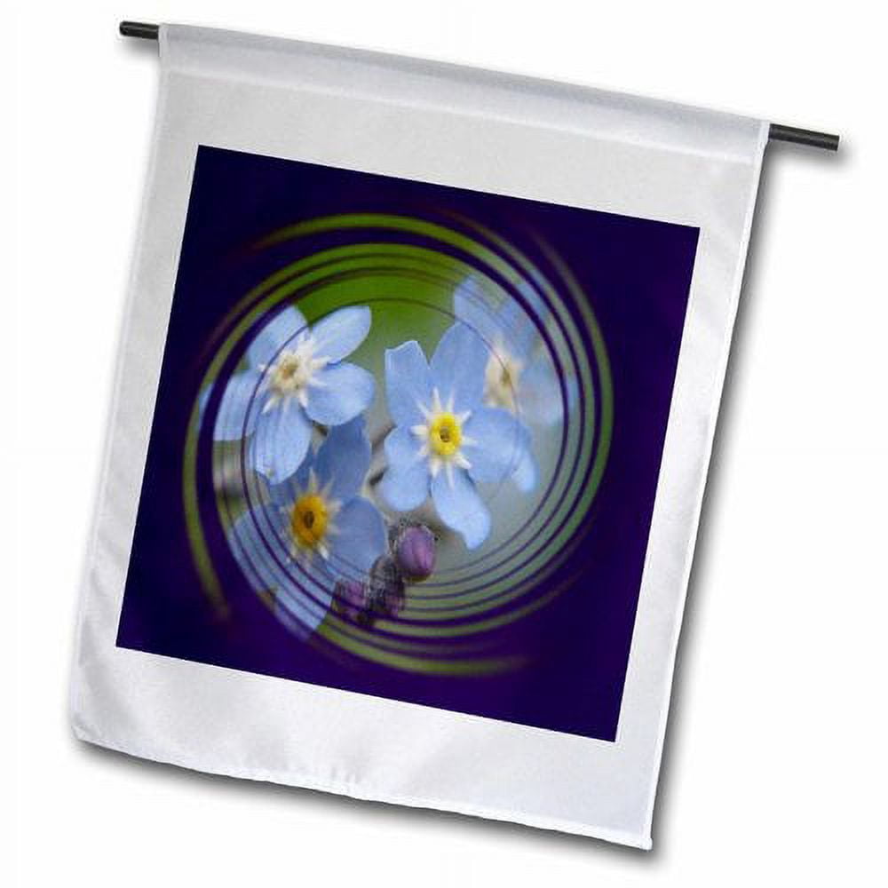 3dRose, Forget -Me -Not - alzheimers disease, forget me not, friendship ...