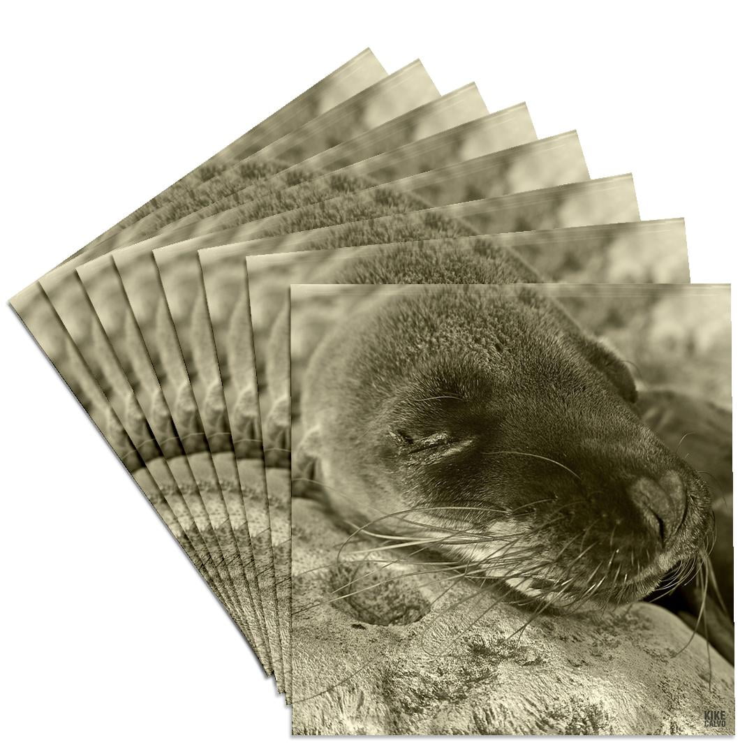 3dRose, Galapagos Islands Ecuador, Set of 8 Ceramic Tile Coasters ...